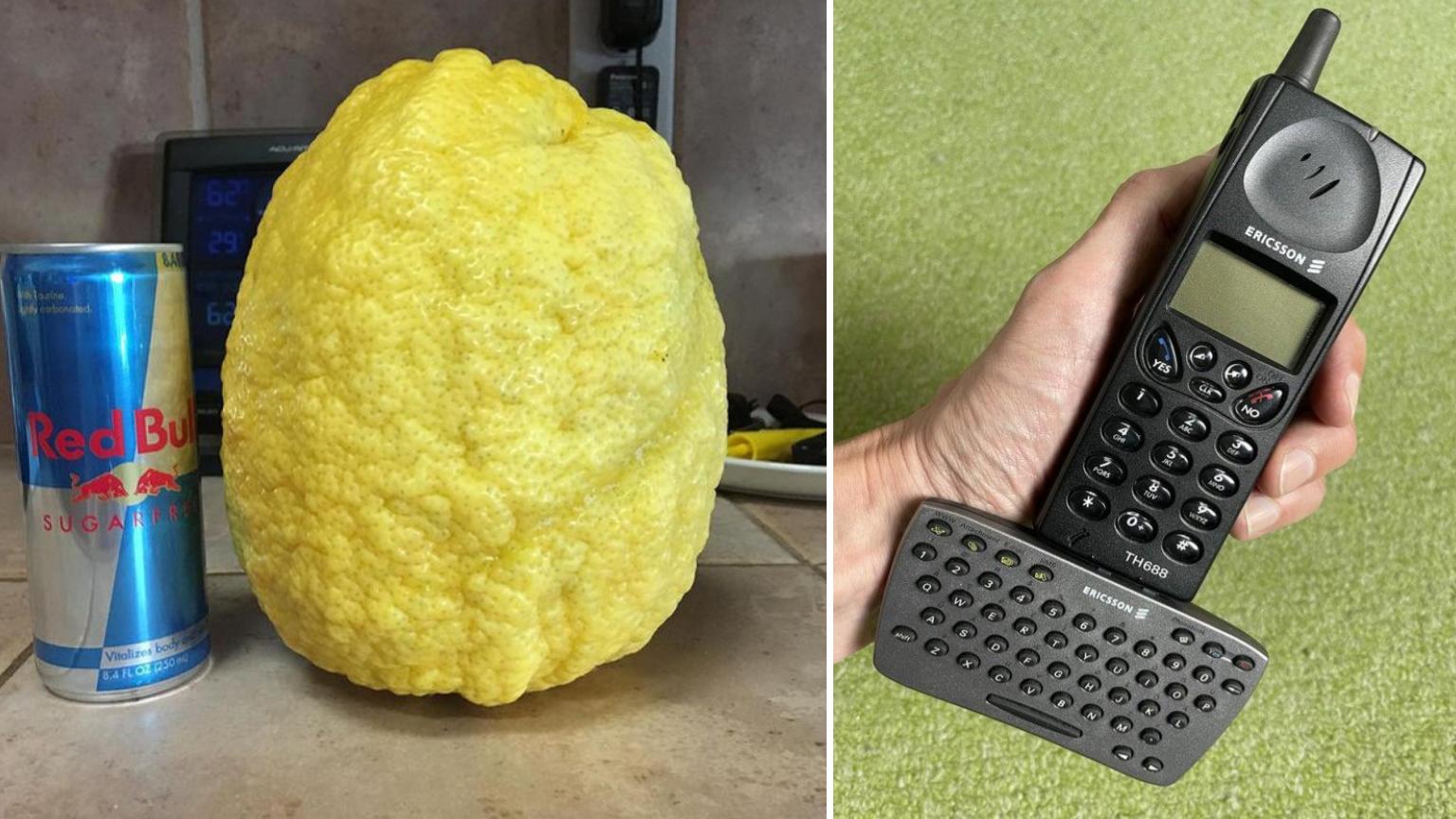 30 Ordinary Things That Are Visually Intriguing | Know Your Meme