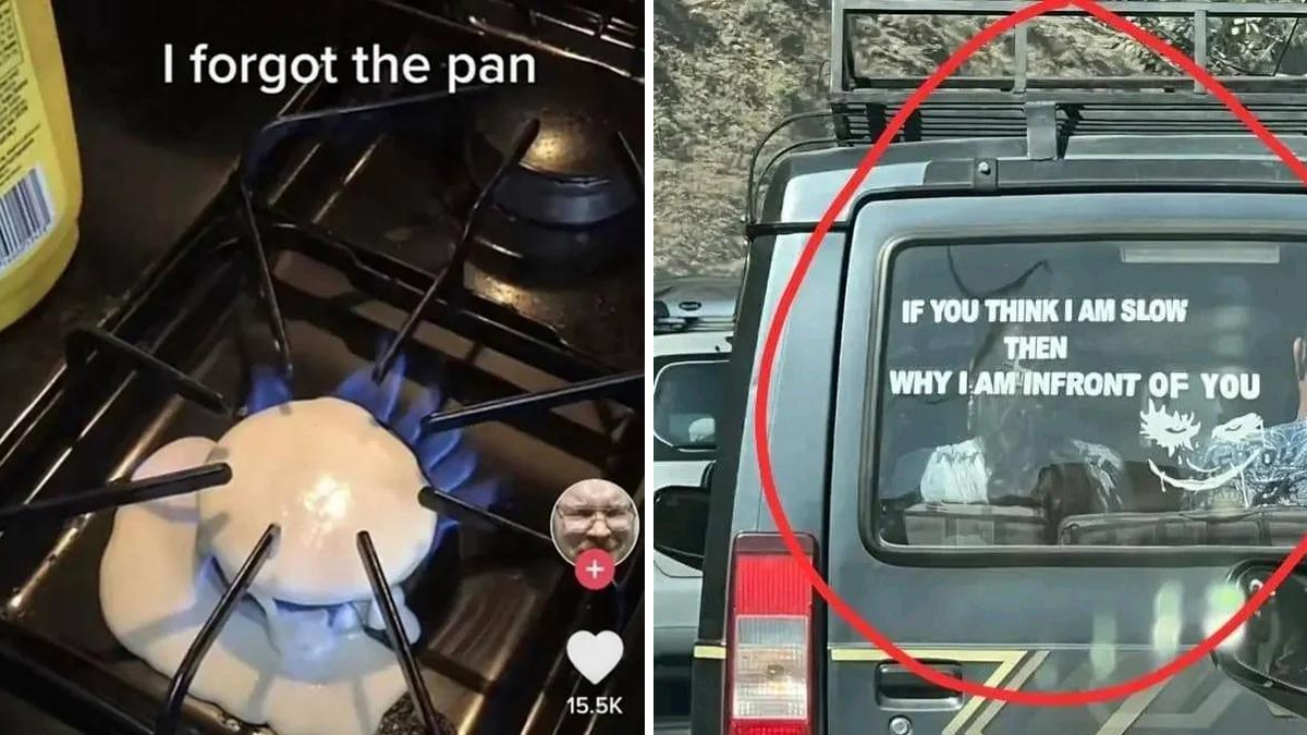 18 Nonsense Memes That Are Simply Humorous | Know Your Meme