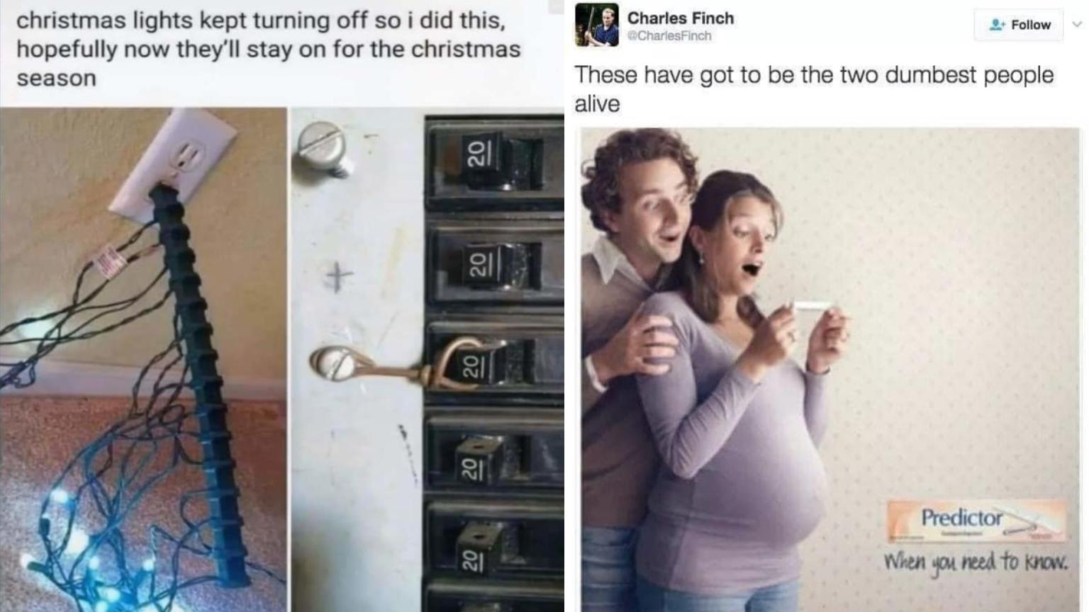 25 Hilarious Memes Taken From Reddit | Know Your Meme