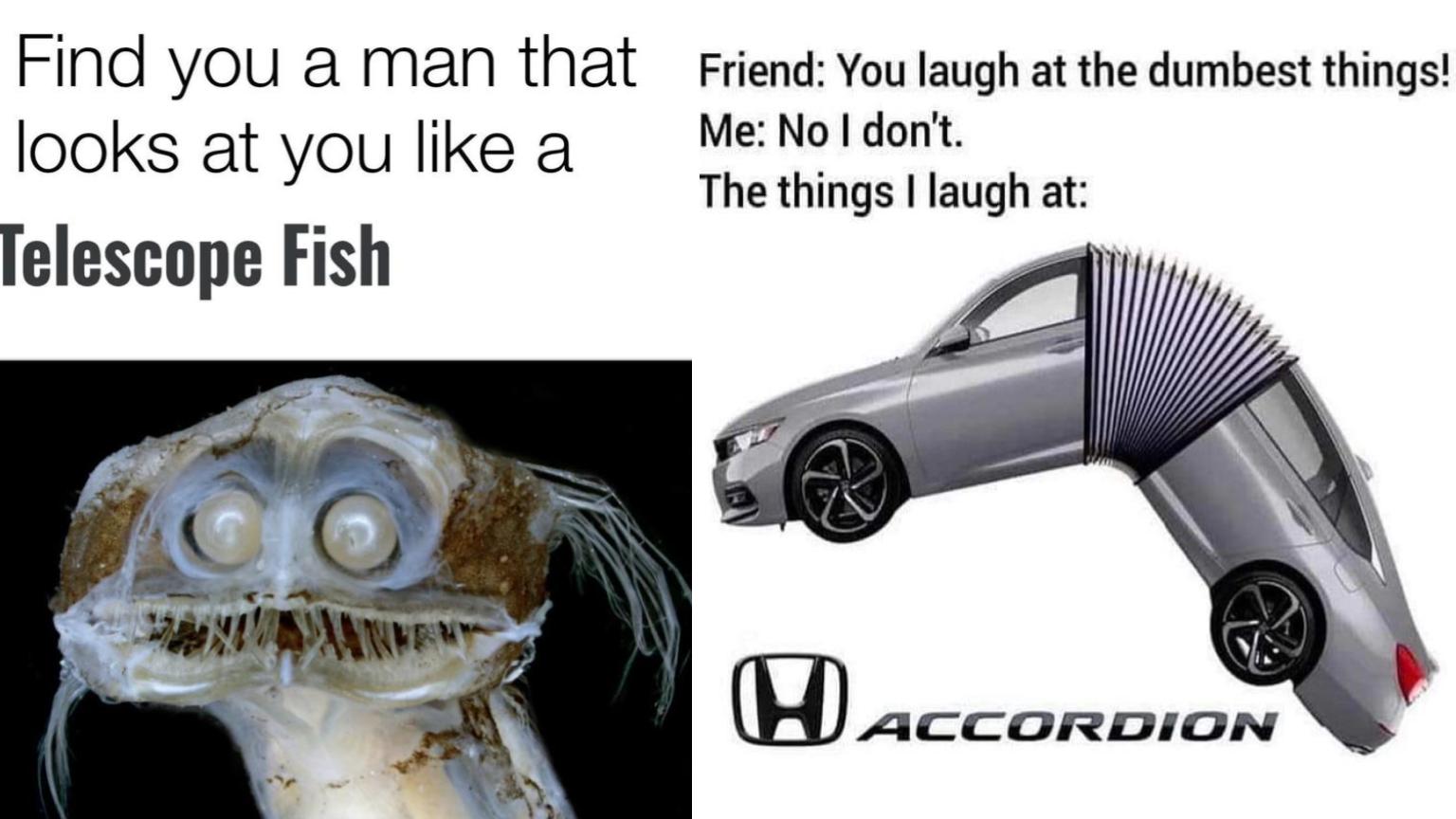 13 Memes That Didn't Quite Make The Cut On Reddit's 'Dank Memes' | Know Your Meme