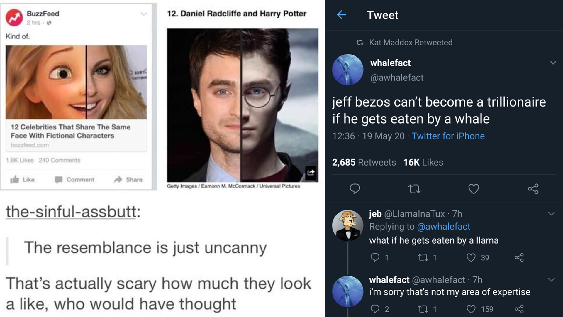 25 Humorous Statements That Are Technically True | Know Your Meme