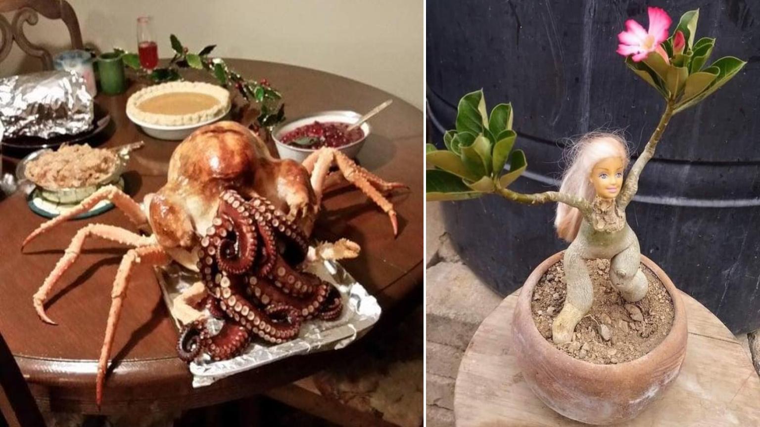 23 Weird Photos We Wish We Could Unsee | Know Your Meme