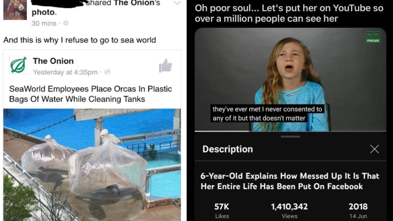 14 Times People Fell For The Onion | Know Your Meme