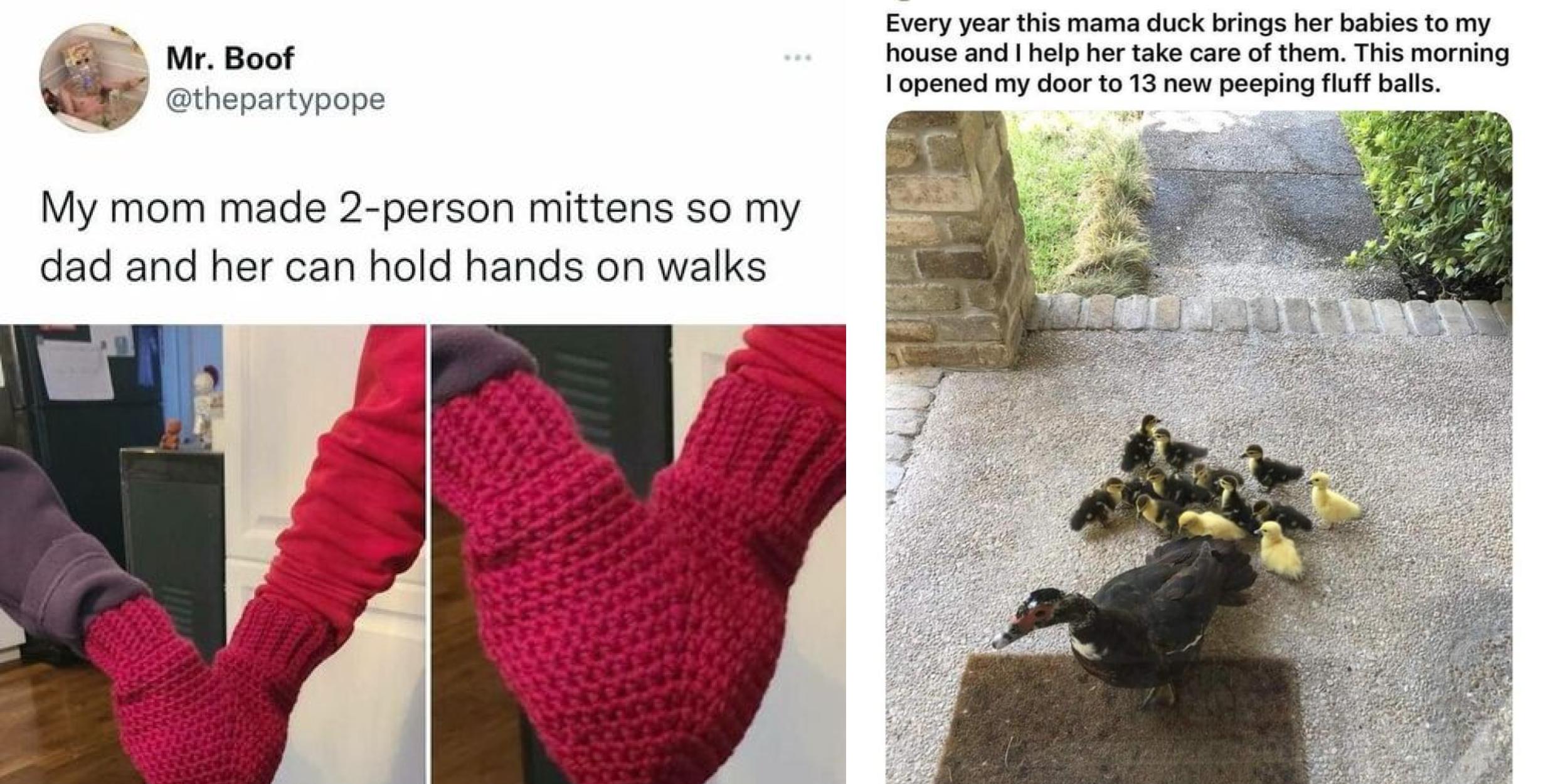 25 'Wholesome Memes' For A Great New Year Ahead | Know Your Meme