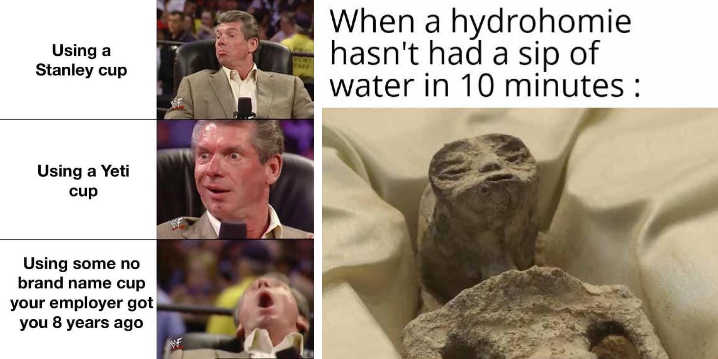15 Memes To Remind Everyone To Stay Hydrated | Know Your Meme