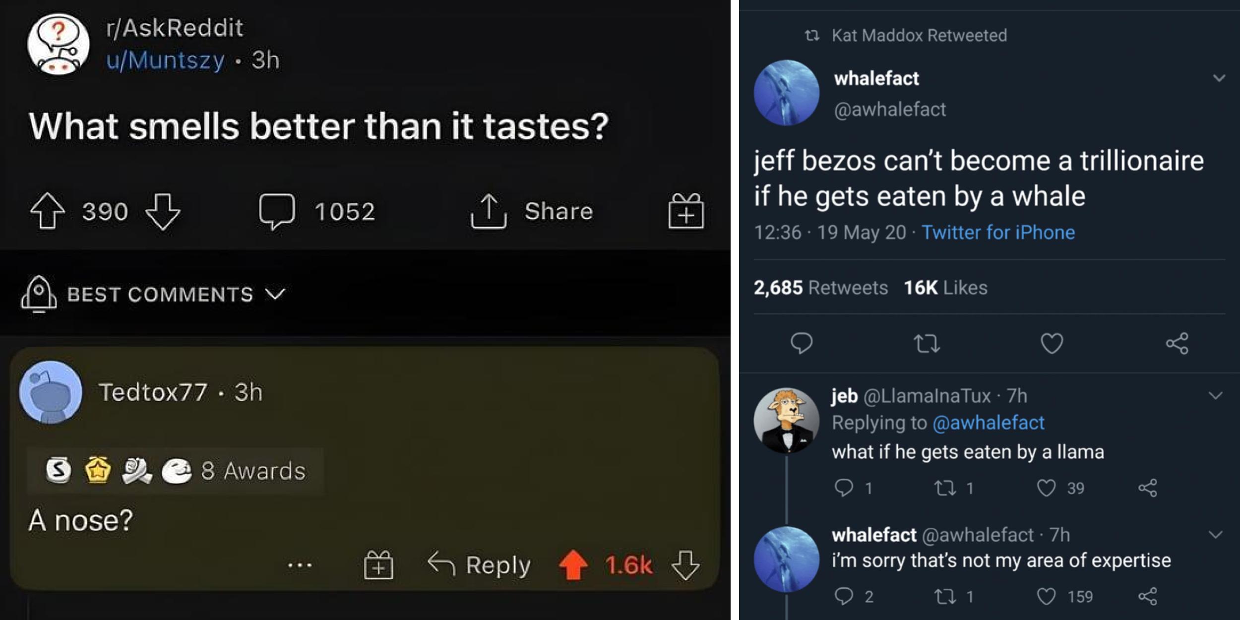 15 Wild Statements You Can't Really Argue Against | Know Your Meme