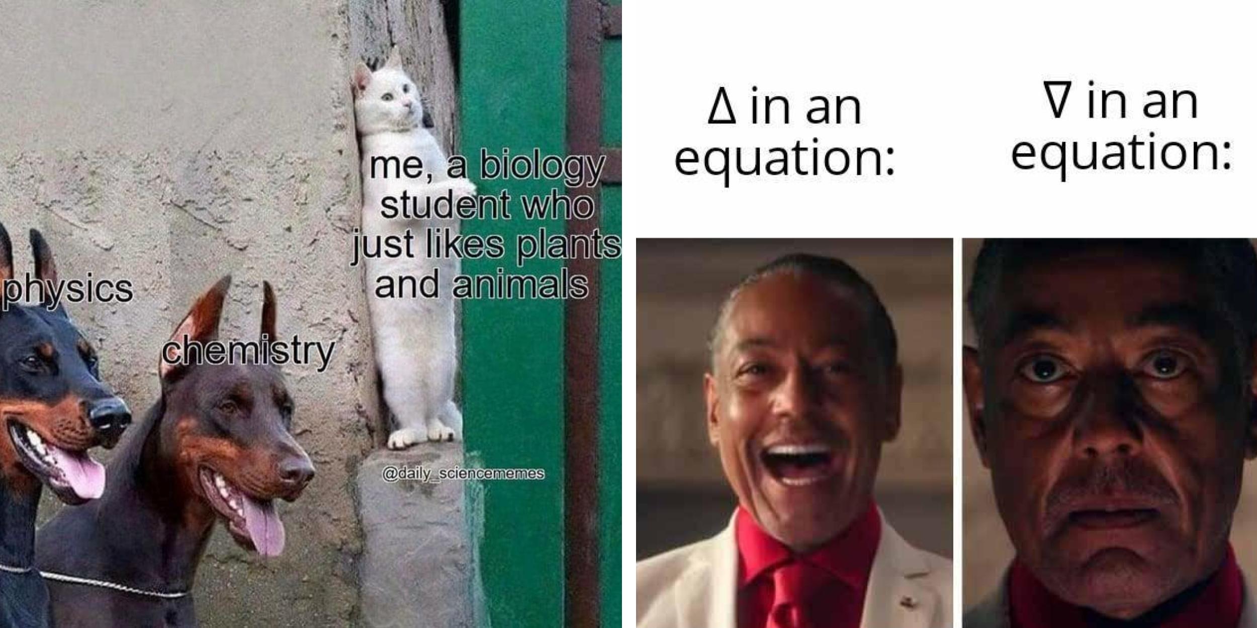 15 Intellectually Elevated Memes For All The Science Nerds | Know Your Meme
