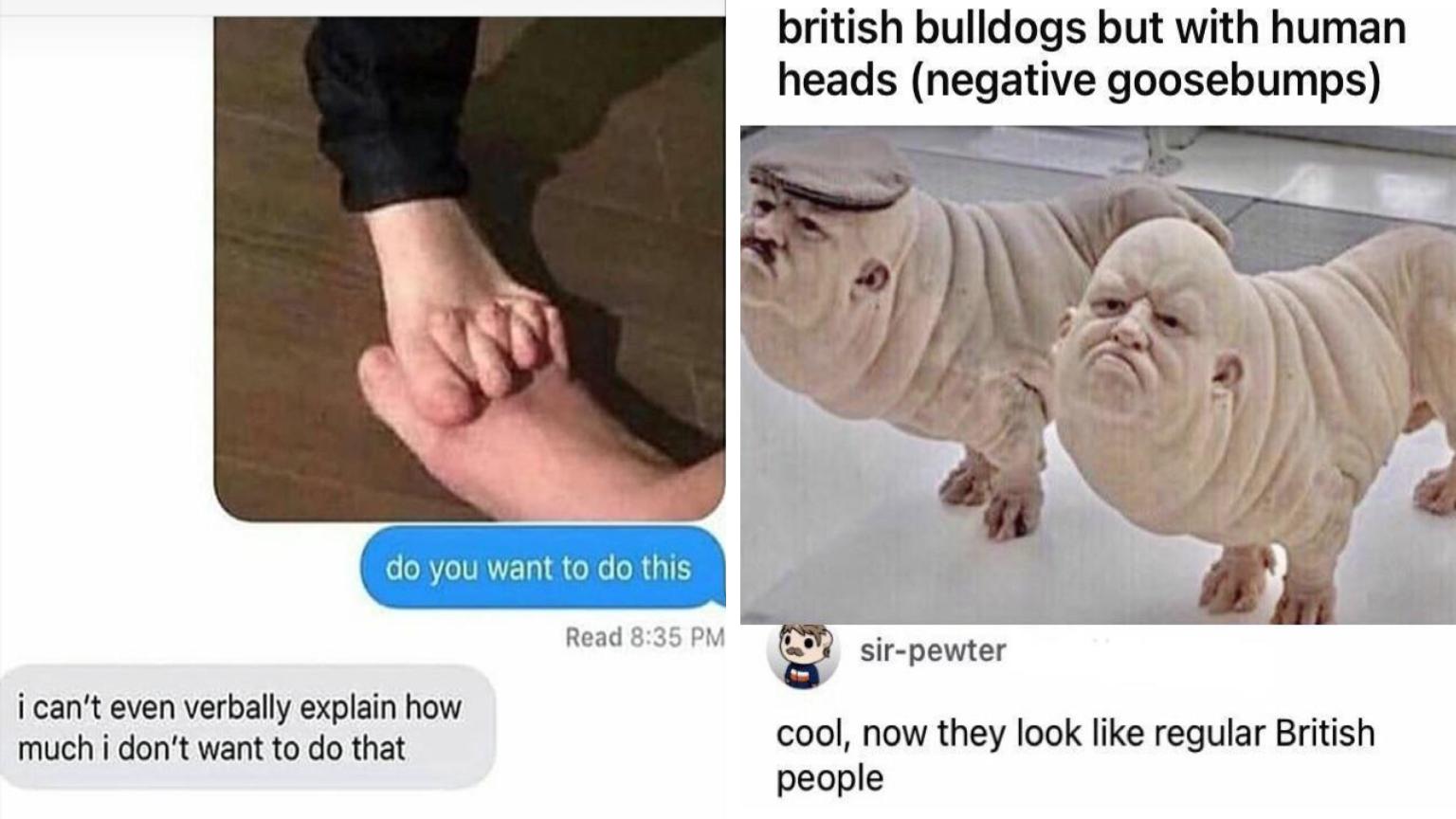 24 Cursed Images We Can't Stop Looking At | Know Your Meme