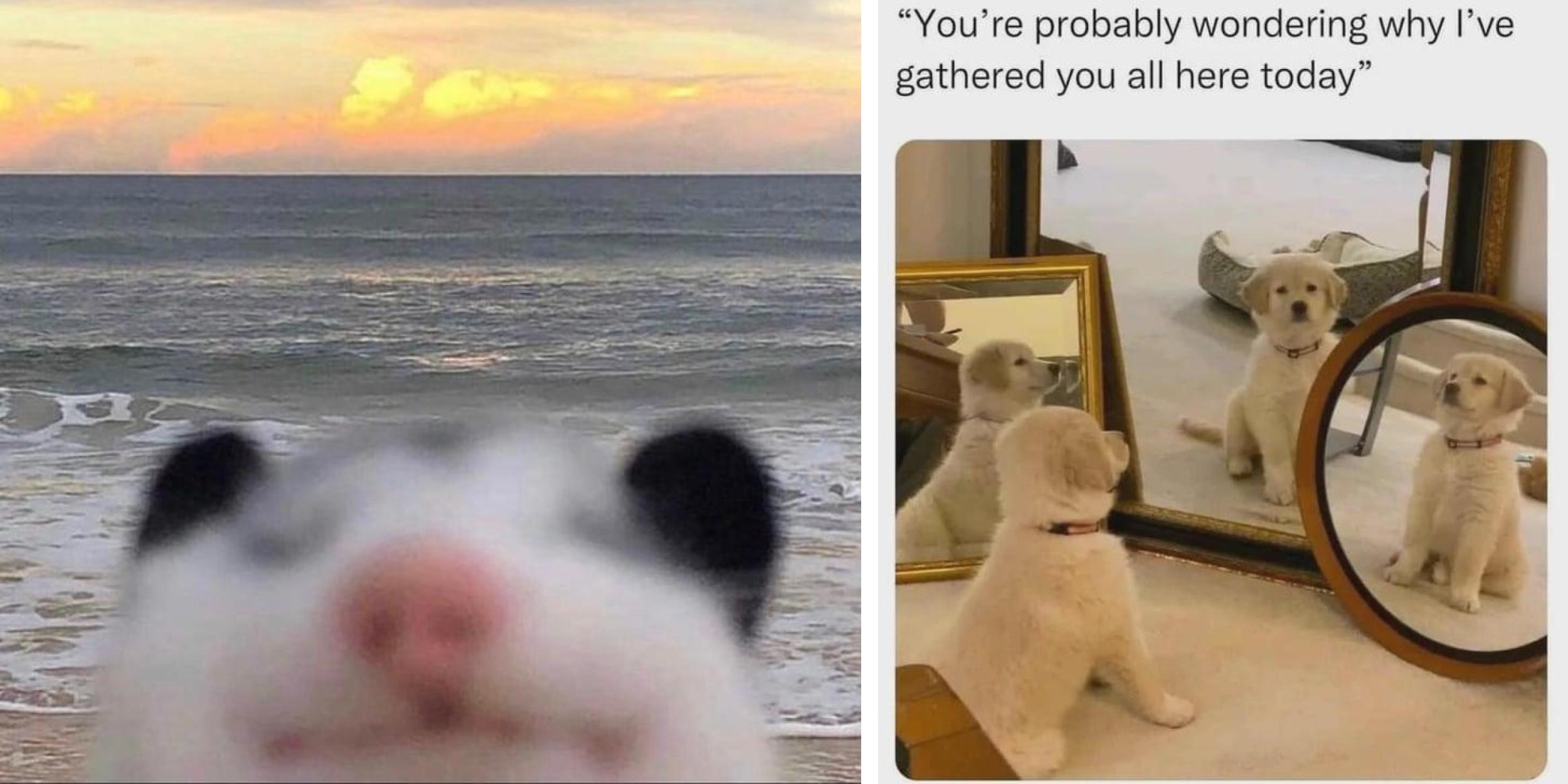 25 Blessed Images To Cleanse Your Timeline | Know Your Meme