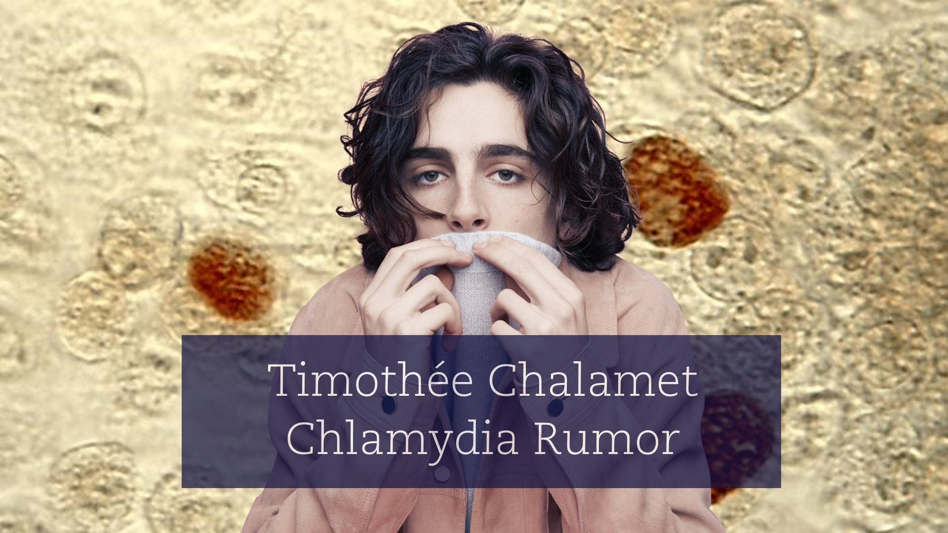 Why Are People Saying 'Timothée Chalamet Gave Chlamydia To Everyone At ...