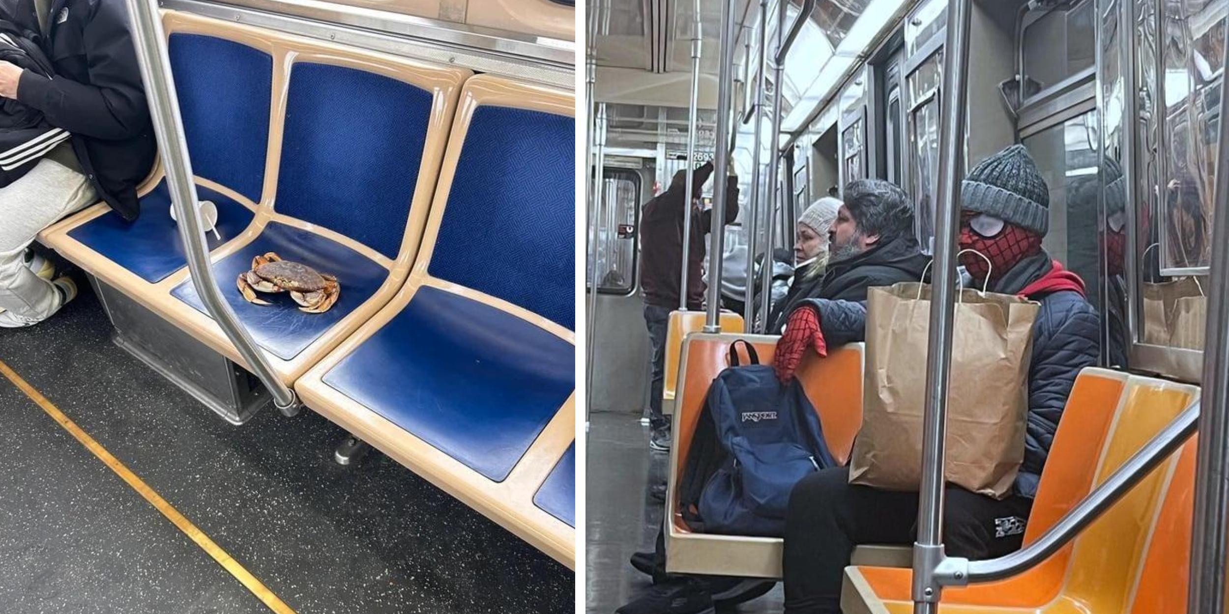 15 Weird And Absurd Occurrences Photographed On Public Transportation ...
