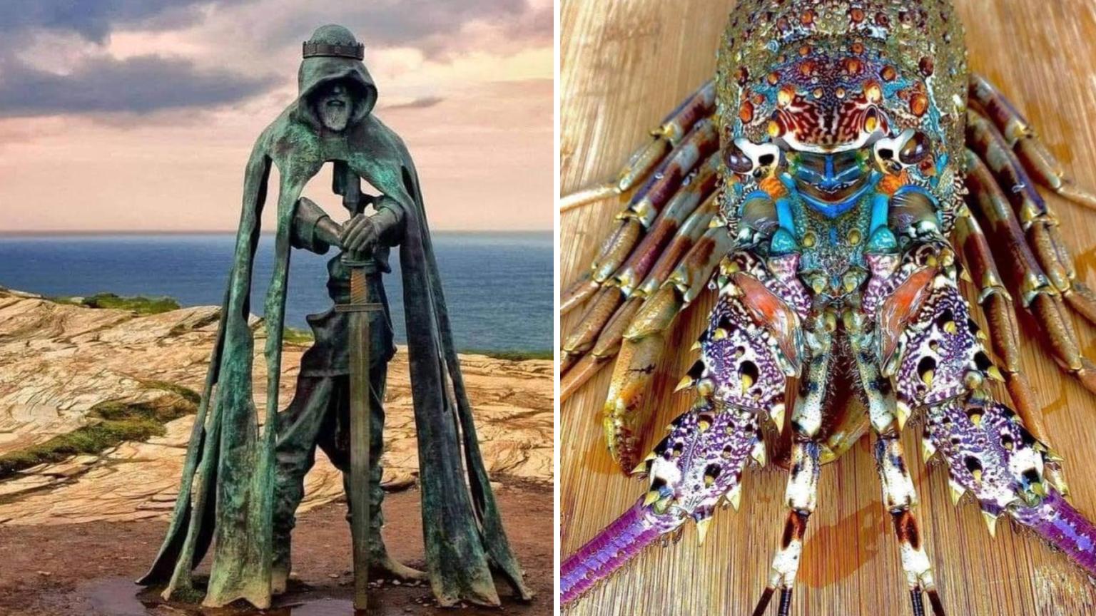 22 Incredibly Interesting Photos From Our Strange World | Know Your Meme