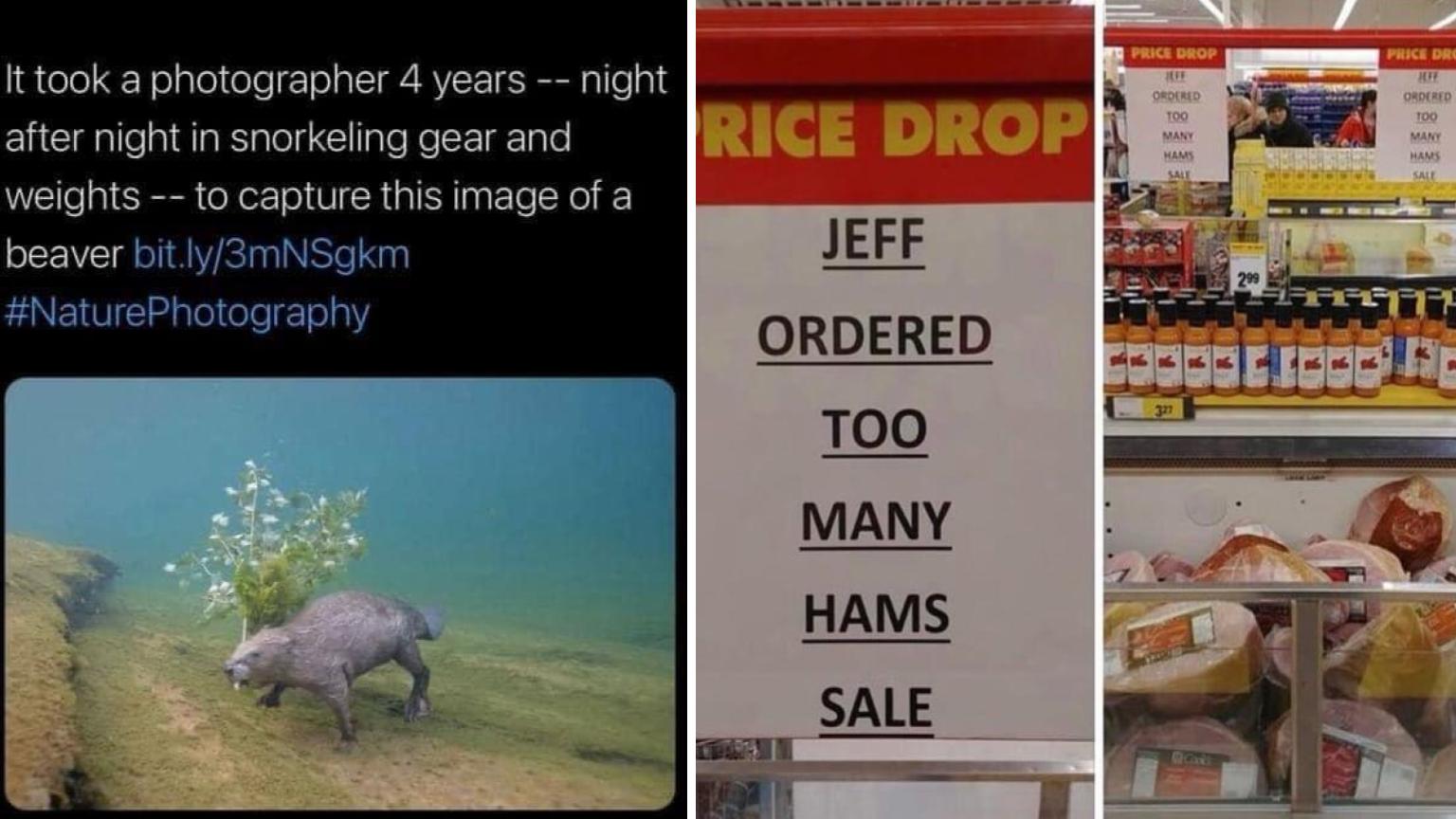 15 Images So Funny They've Ascended To 'Comedy Heaven' | Know Your Meme