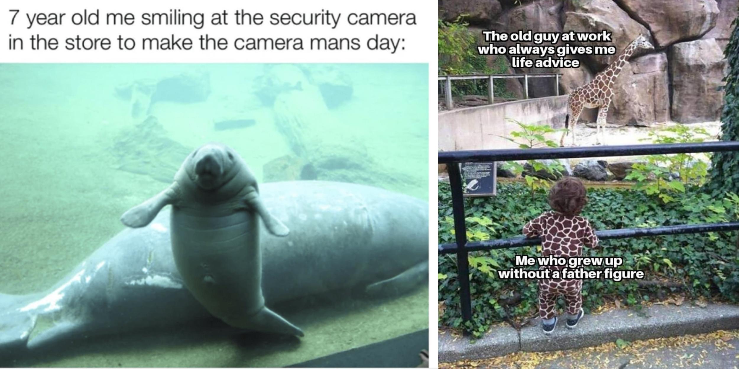 25 Wholesome Memes That Are Both Funny And Heartwarming | Know Your Meme