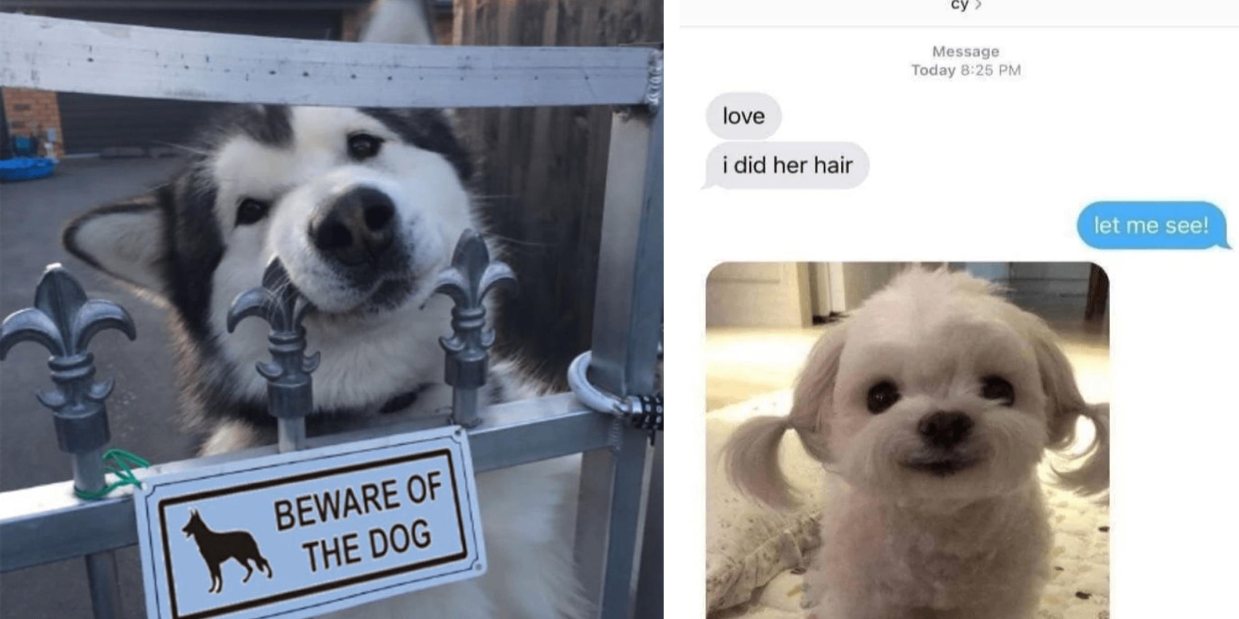 25 Blessed Images To Cleanse Your Feed | Know Your Meme