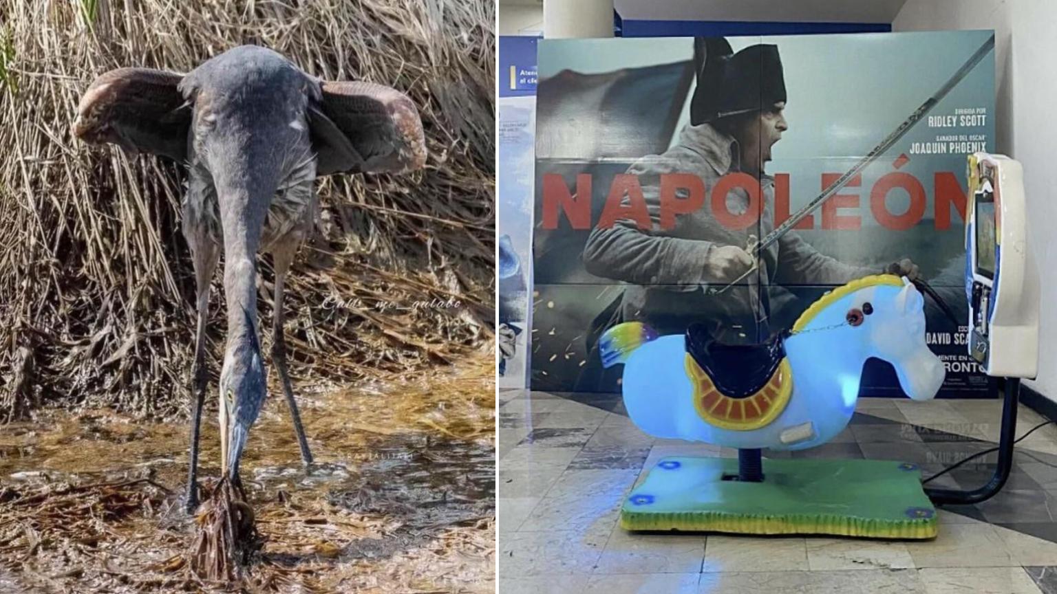 15 Photos Taken At The Most Confusing Times | Know Your Meme