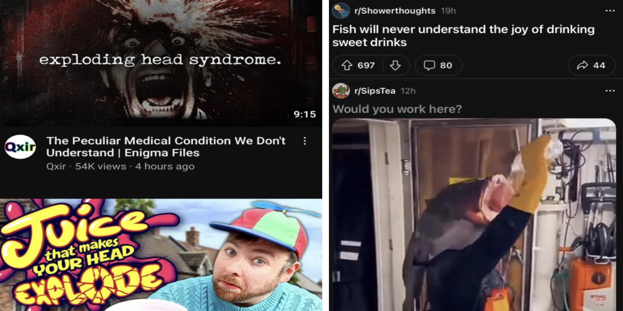 15 Glitches In The Algorithm Causing Hilarious Moments Of Juxtaposition ...