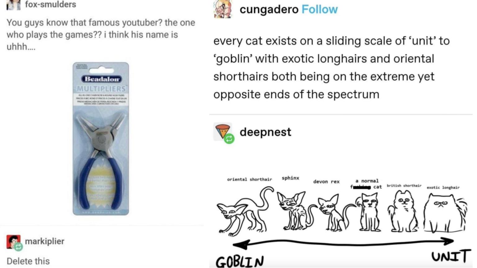 Revisit The Golden Age Of Tumblr With These 24 Posts | Know Your Meme