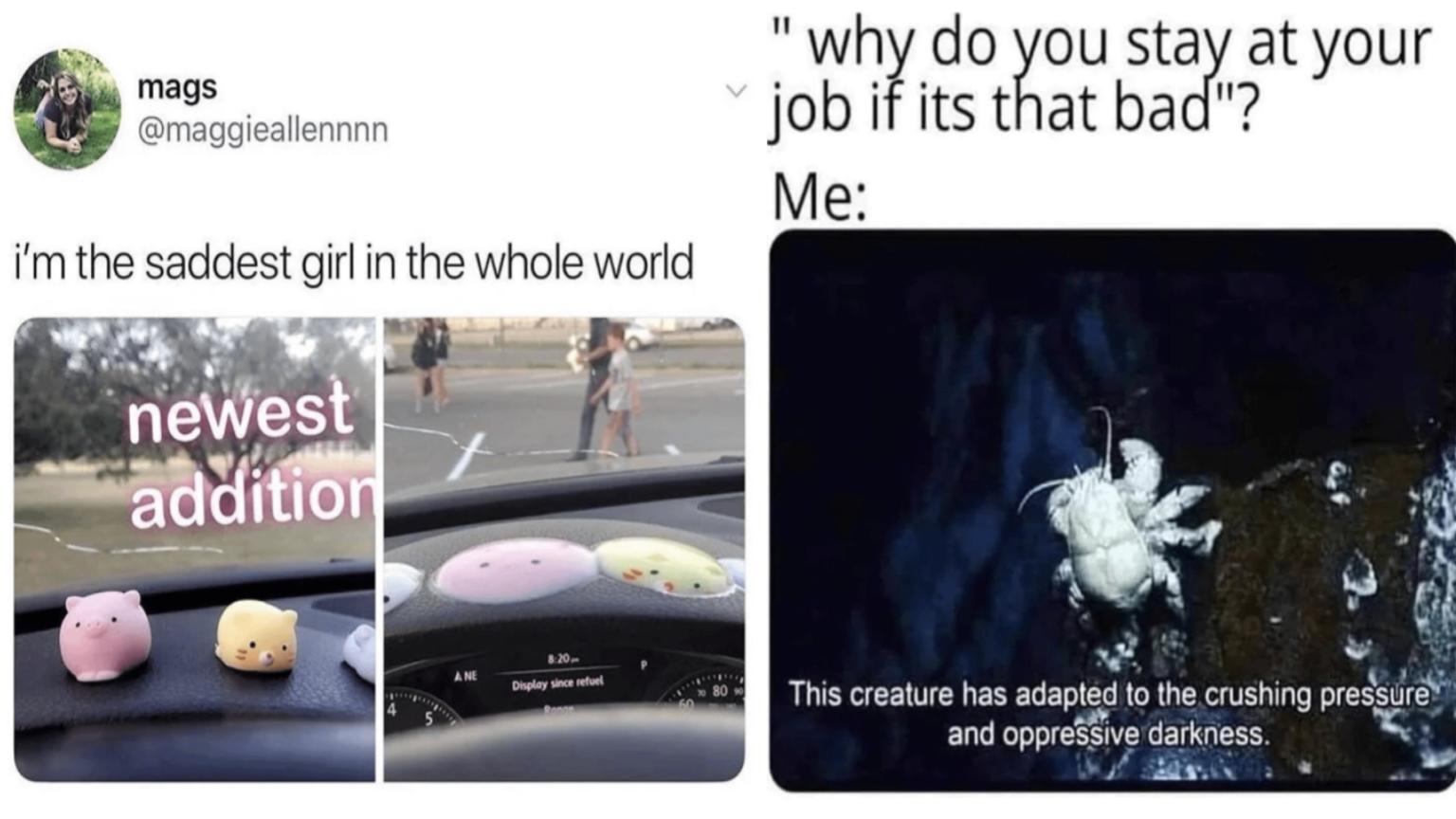 24 'Funny But Sad' Memes That Hit Close To Home | Know Your Meme