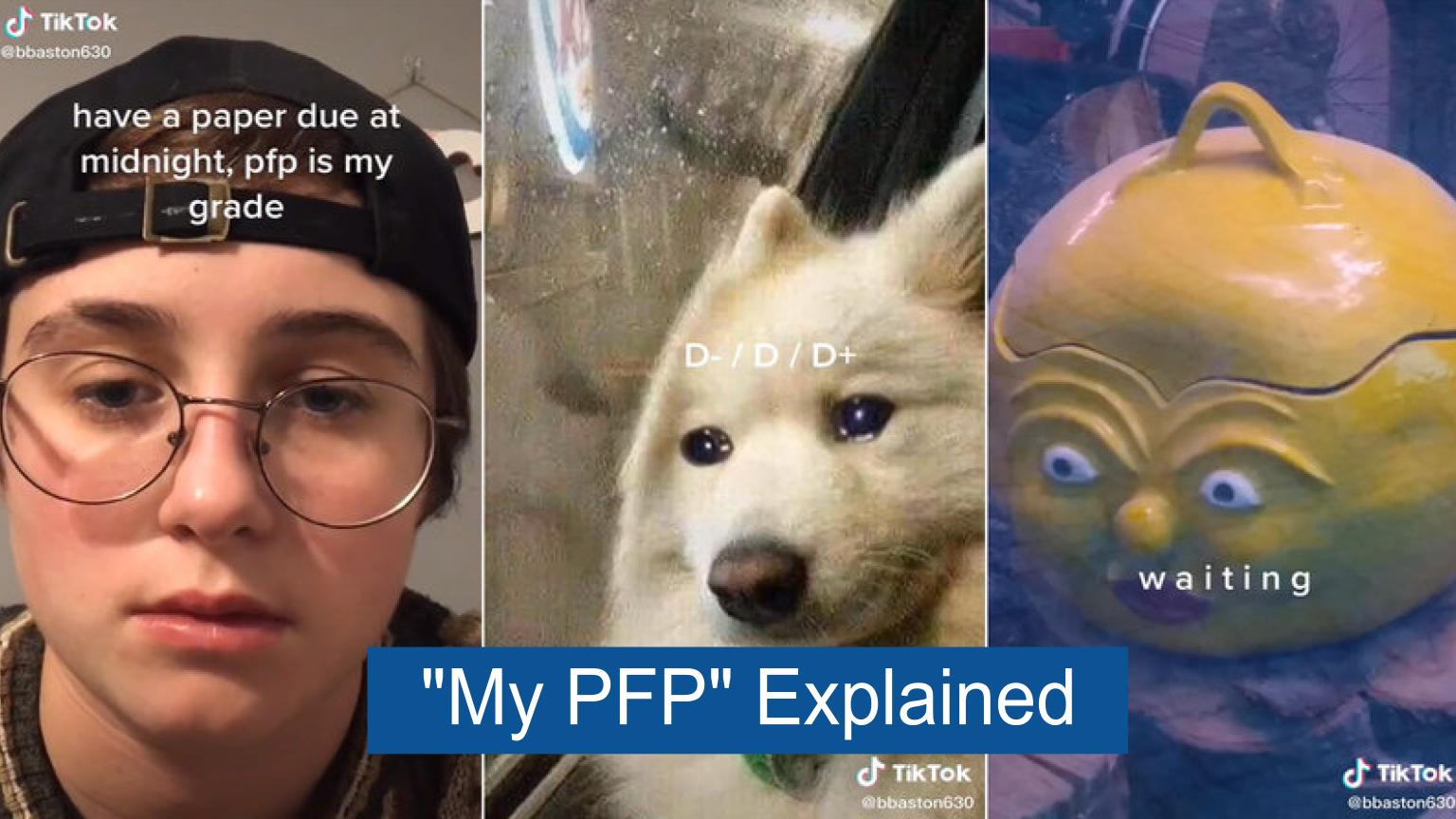 What Is The 'My PFP' Trend? The TikTok Profile Picture Trend Explained ...