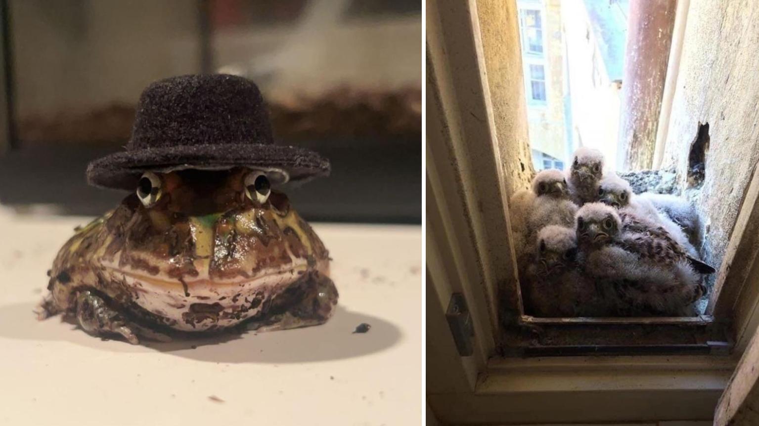 Refresh Your Eyes With 25 Choice Selections | Know Your Meme