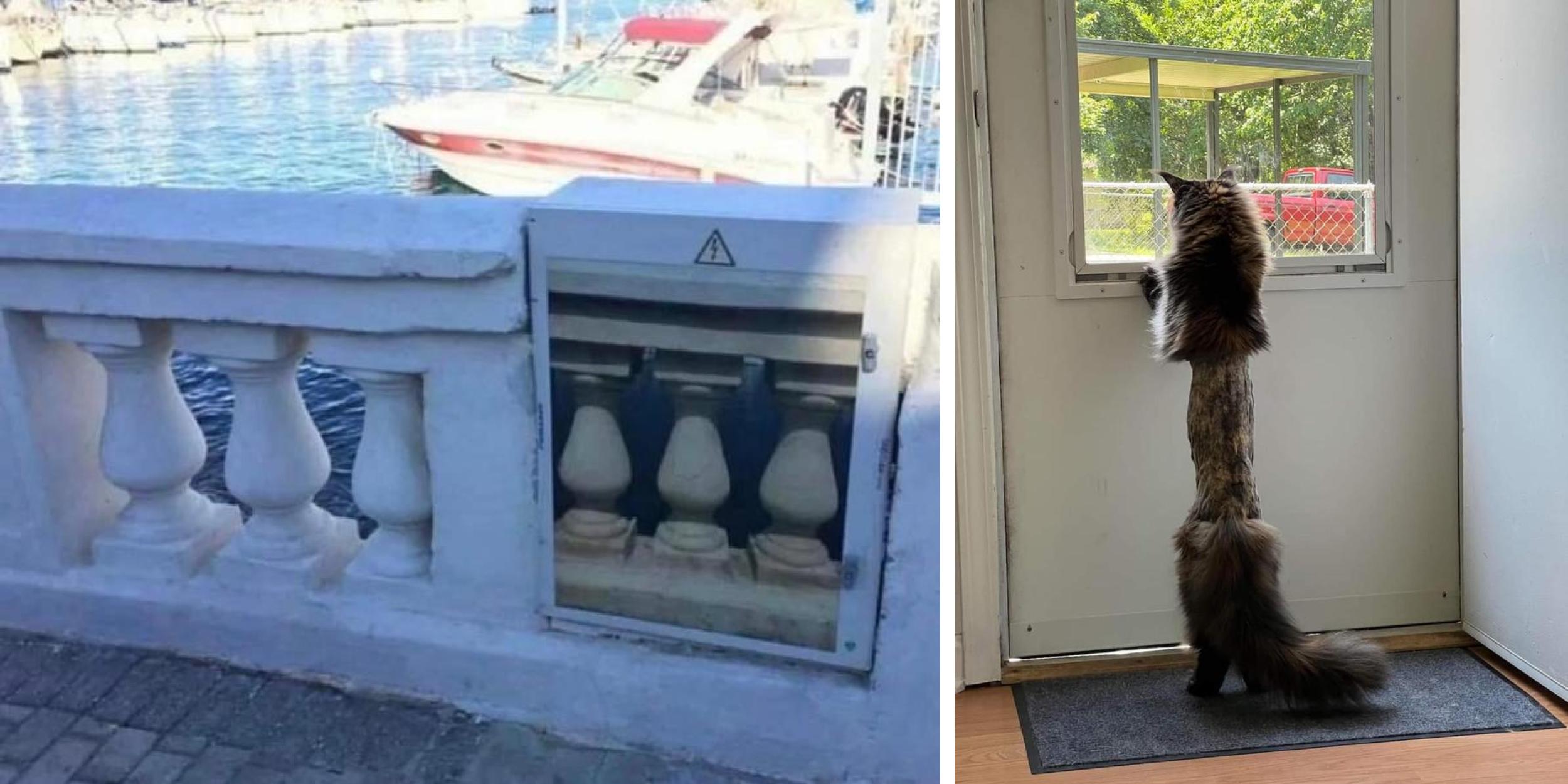 25 Weird Photographs With No Context You Can't Look Away From | Know ...