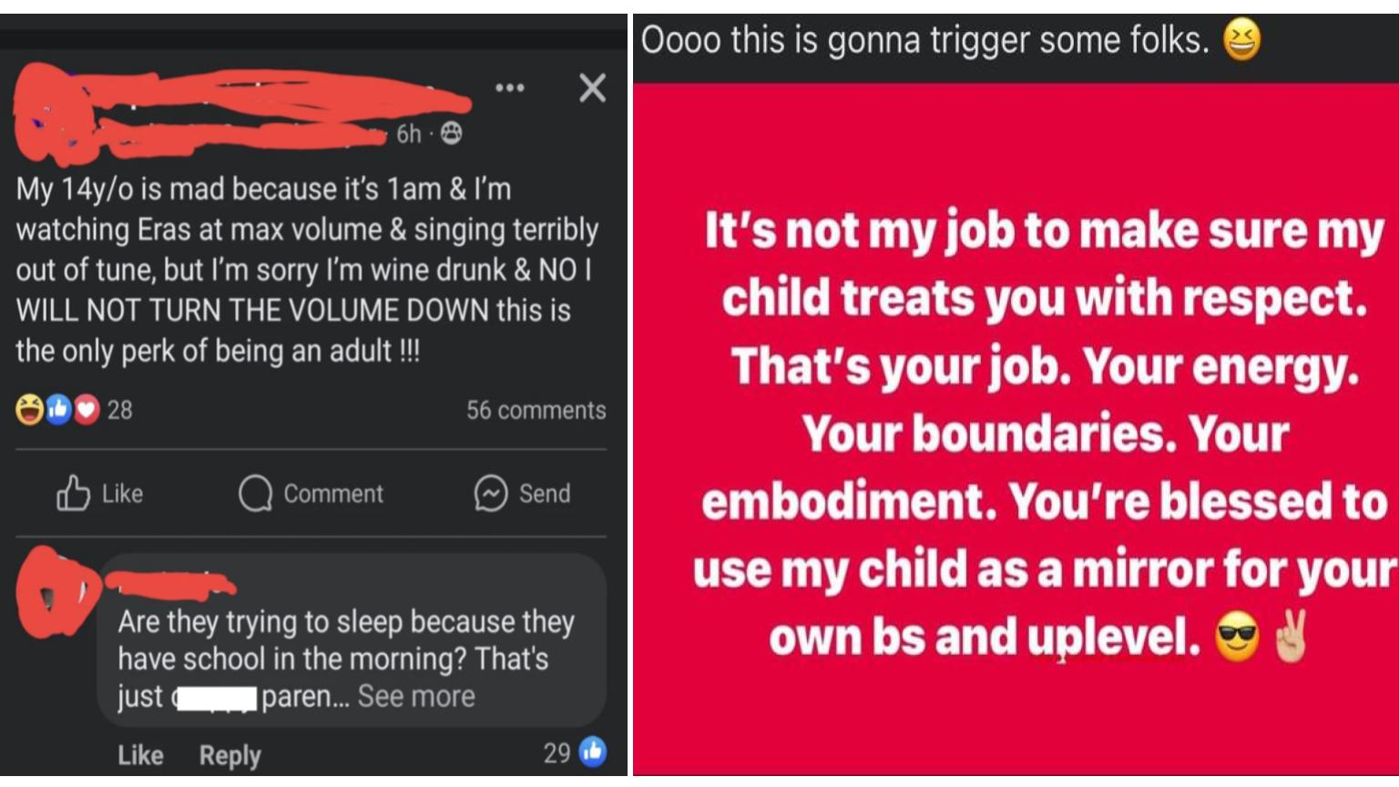 15 Unhinged People Found In Facebook Parenting Groups | Know Your Meme