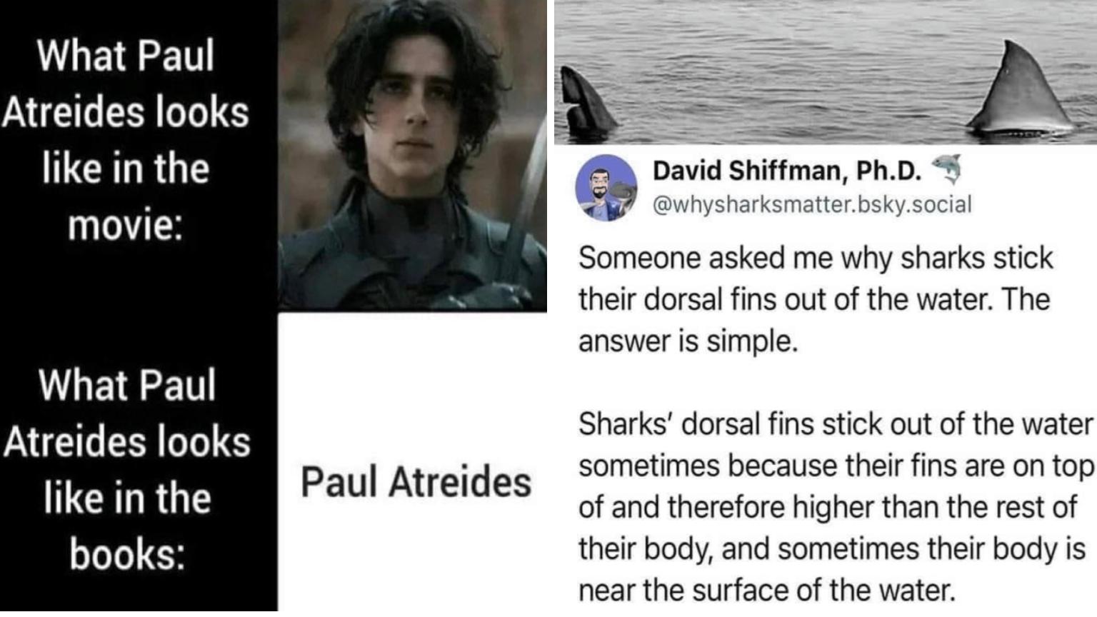 24 'Technically True' Statements That Are Hard To Argue With | Know ...