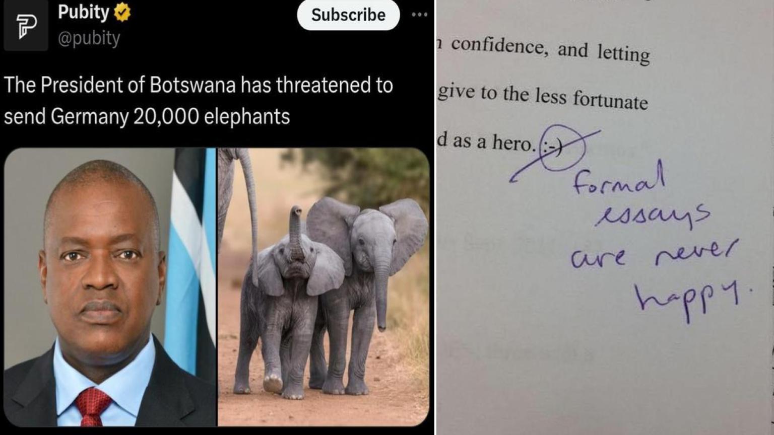 24 Unhinged Sentences No One Has Said Before | Know Your Meme