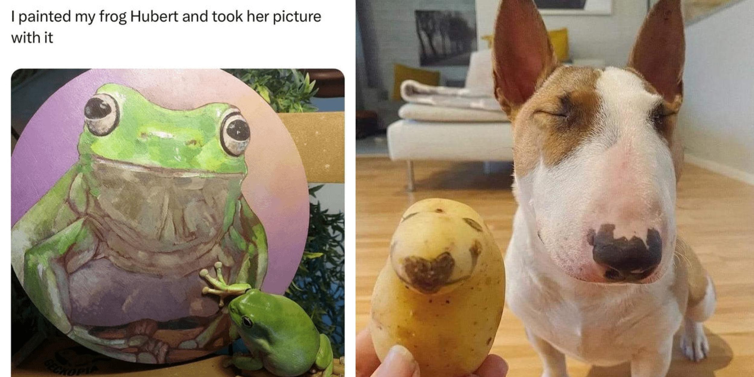 25 Blessed Images For A Boost To The Day | Know Your Meme