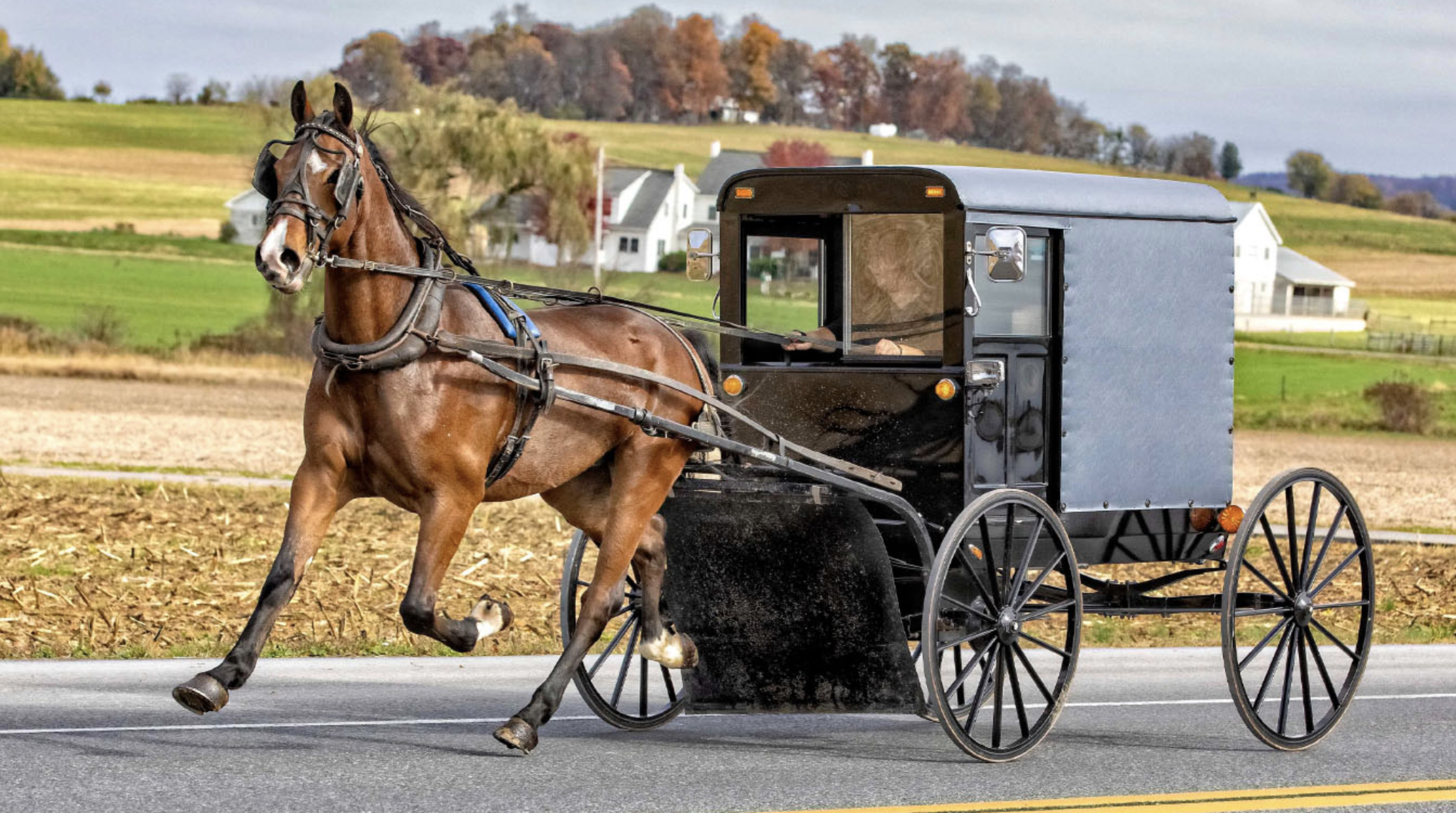 What Is The Meaning Of An 'Amish Oil Change'? The Slang Term ...