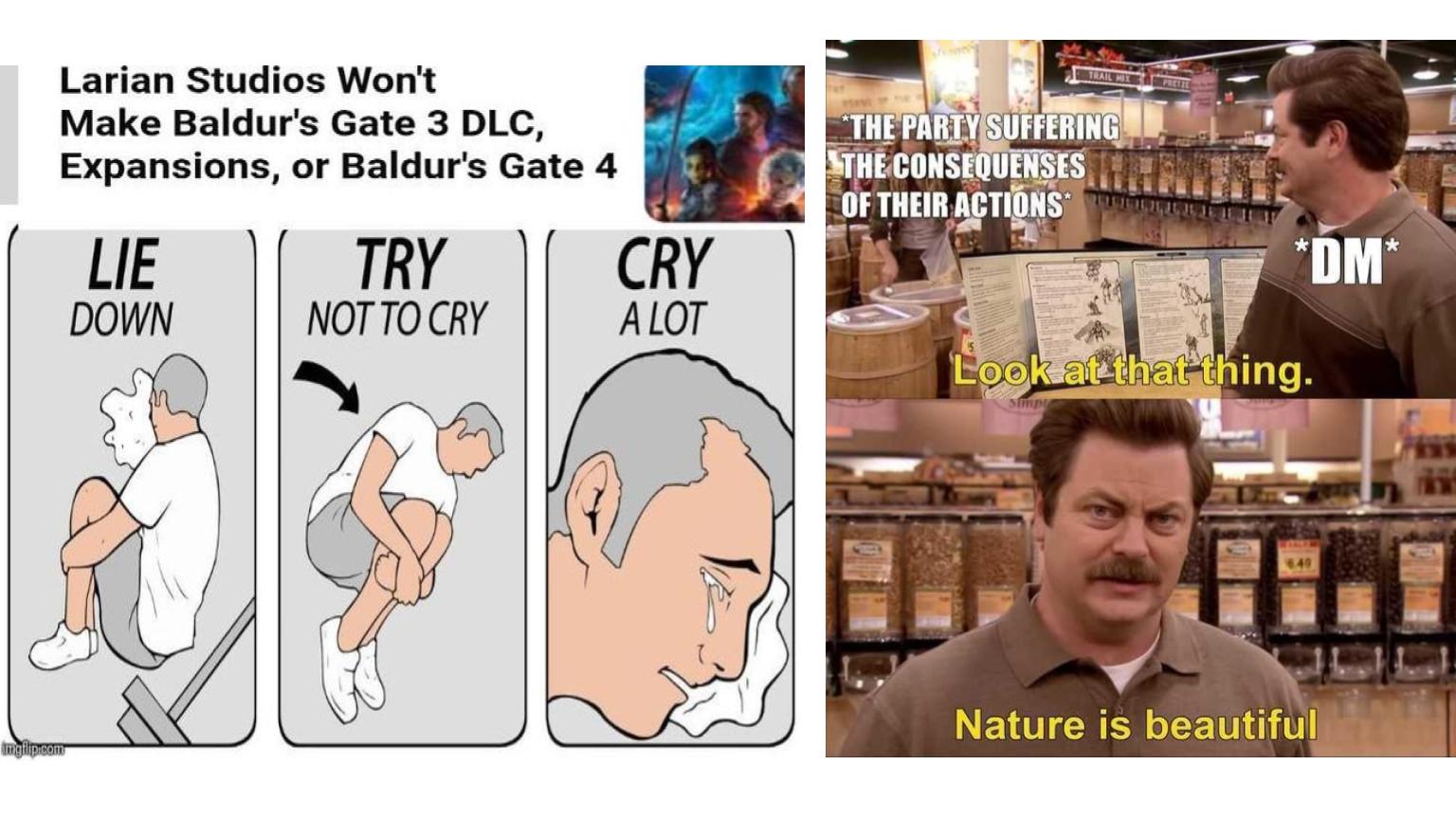 24 'DnD' Memes To Share At The Next Session | Know Your Meme