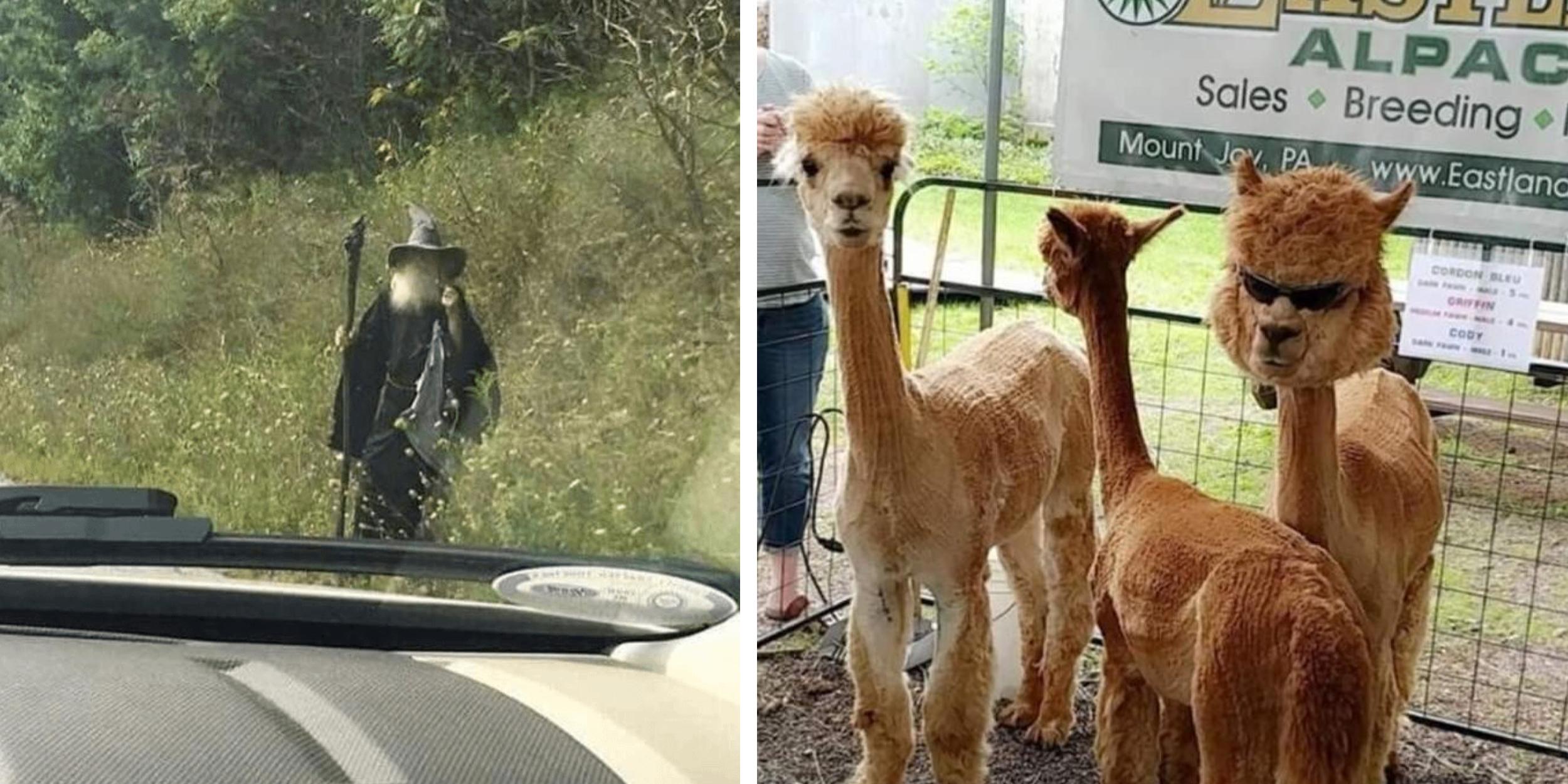 24 Baffling Images With Zero Context | Know Your Meme