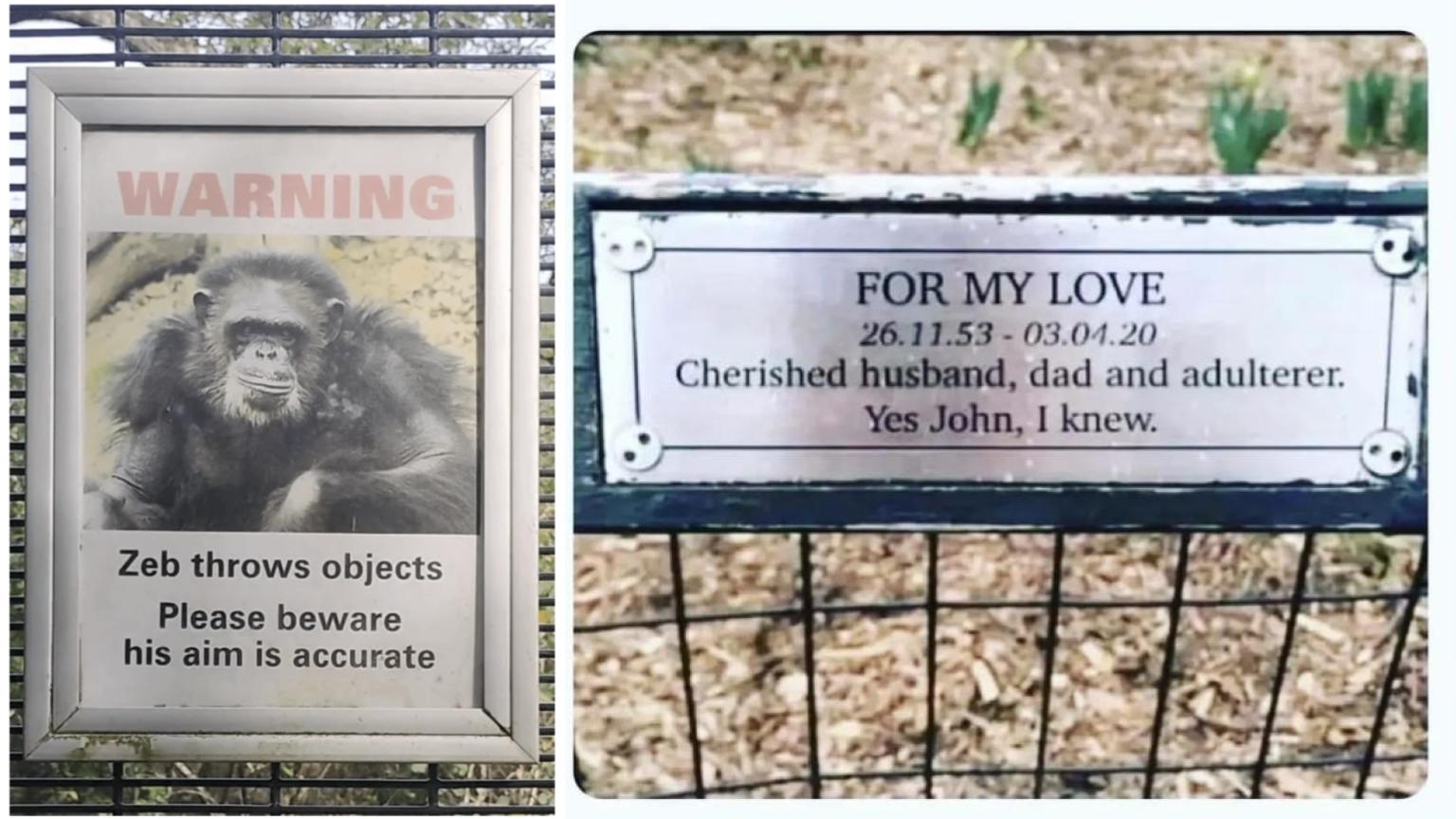 25 Clever And Funny Signs That Deserve An Award | Know Your Meme