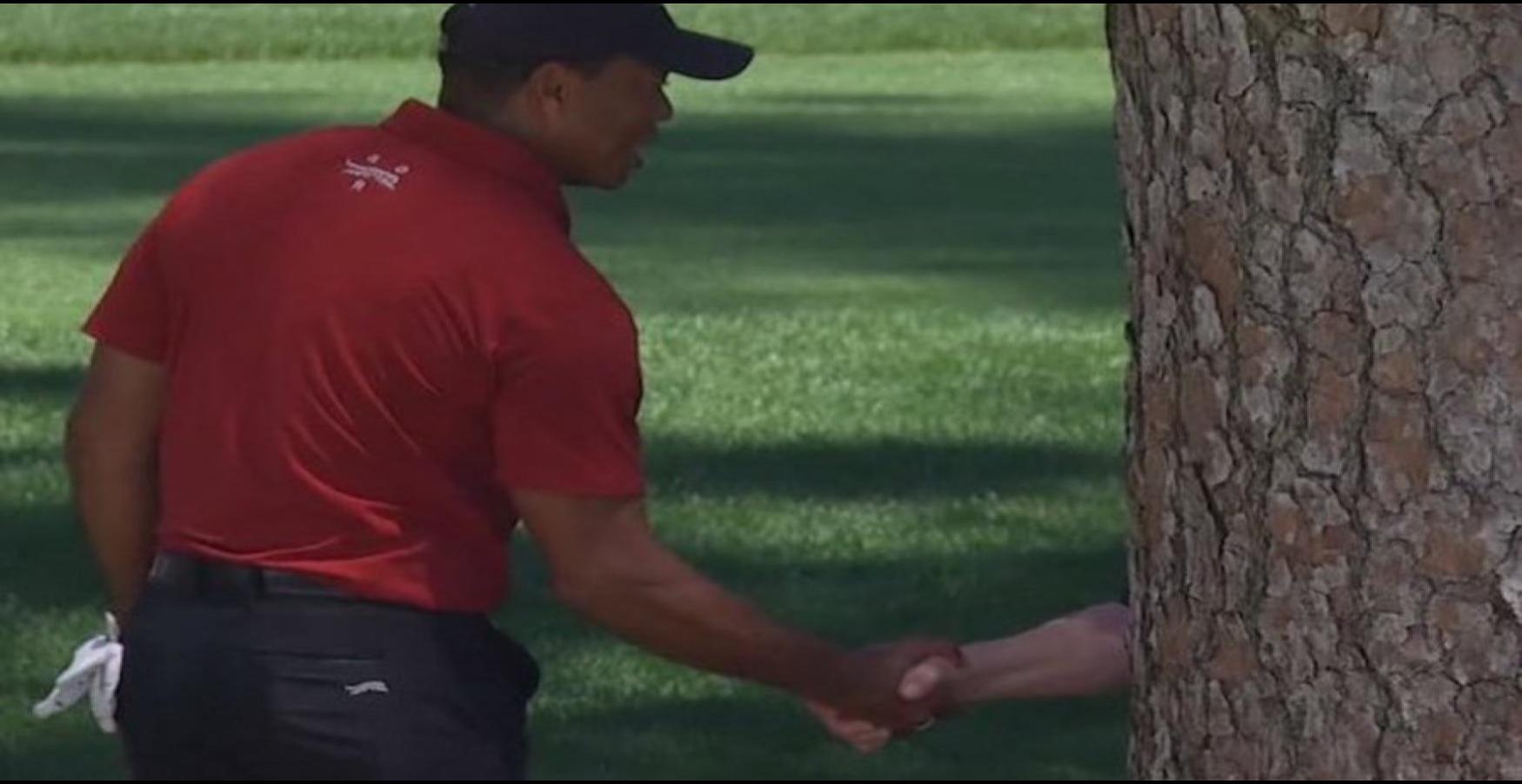 Why Is Tiger Woods Shaking Hands With A Tree? Golf's Most Surreal Meme ...