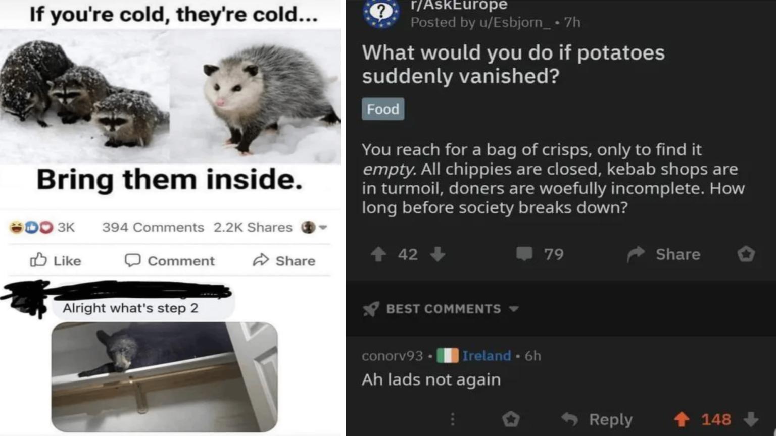 24 Online Comments That Were Definitely Better Left Unsaid | Know Your Meme