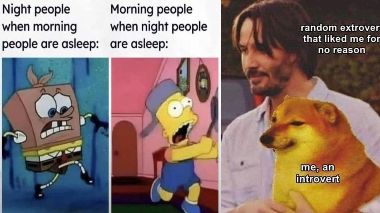 25 Funny Memes Full Of Relatable Humor | Know Your Meme