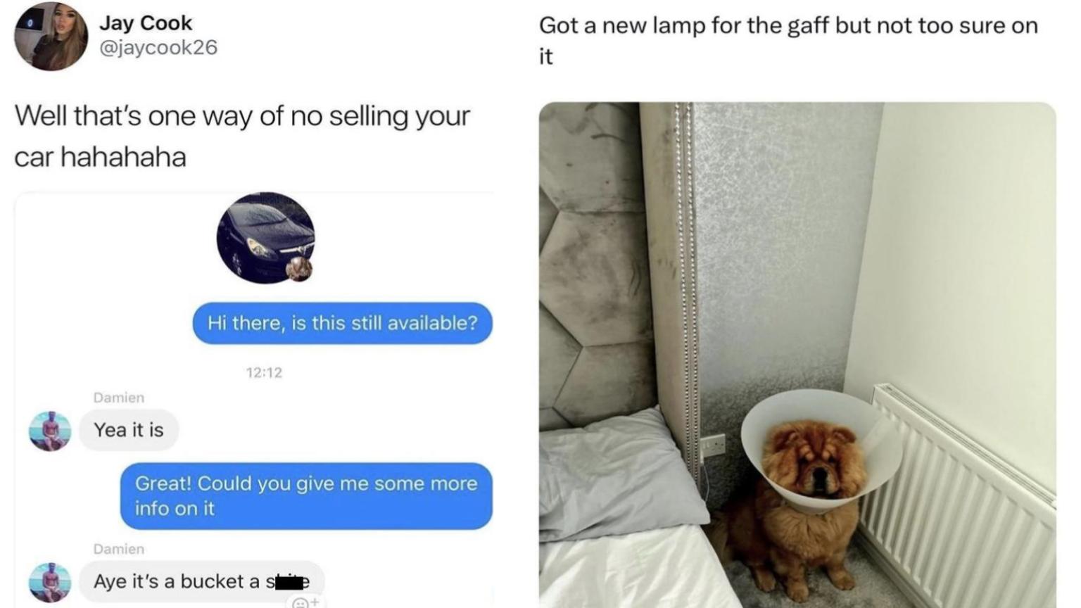 16 Glimpses Into The Humorous World Of 'Scottish Twitter' | Know Your Meme