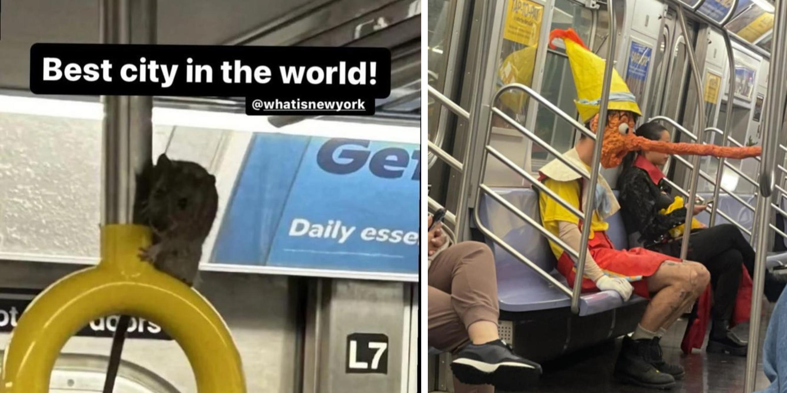 15 Bewildering Sights From Public Transportation | Know Your Meme