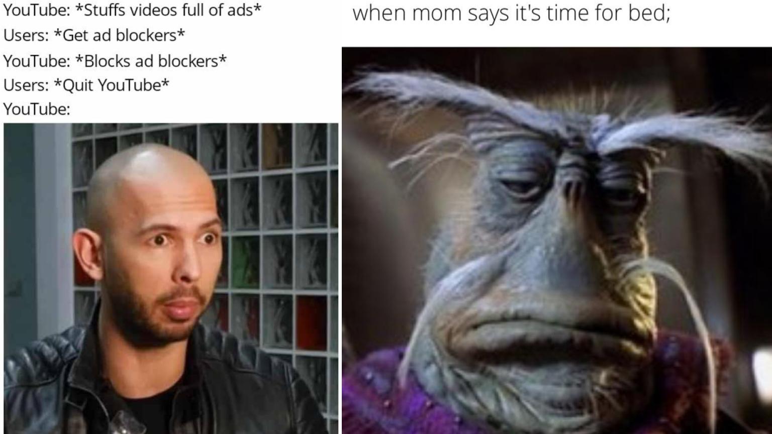 30 Wholesome And Weird Memes For Some Unpredictable Entertainment ...