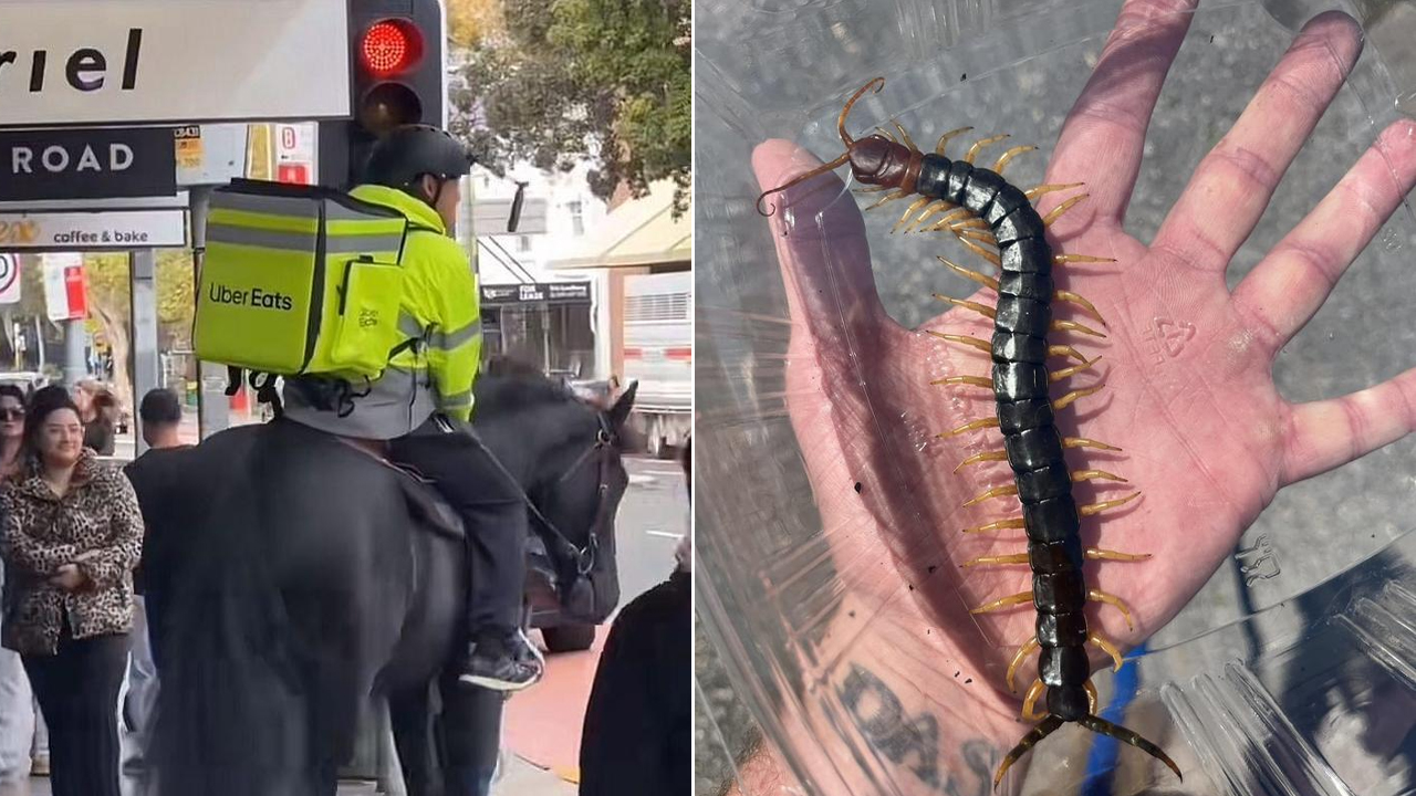 21 Weirdly Interesting Images Shared With The World | Know Your Meme