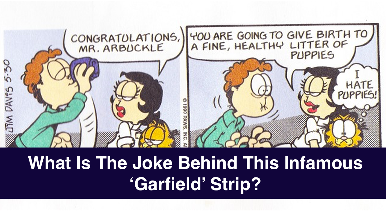 What Is The Joke Behind This Infamous 'Garfield' Comic? It's Not What ...