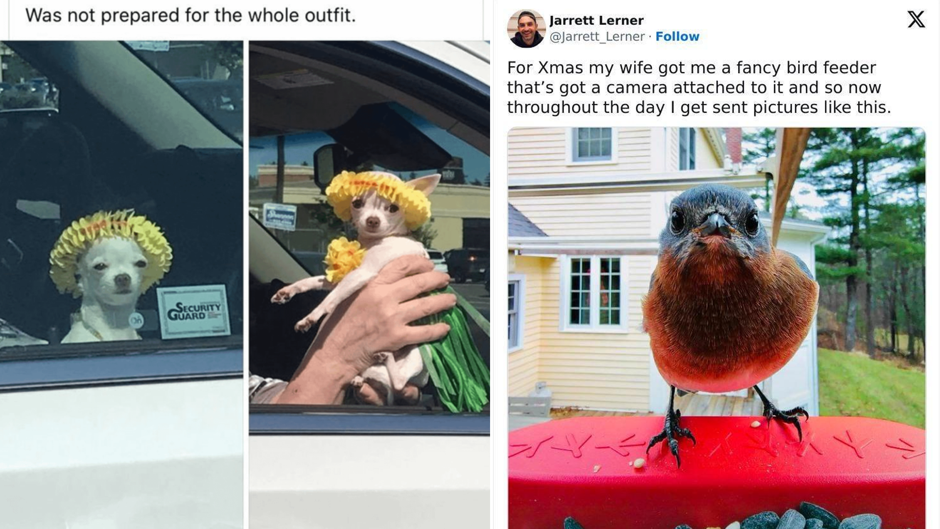 24 Images That Exude Lots Of Positive Energy | Know Your Meme
