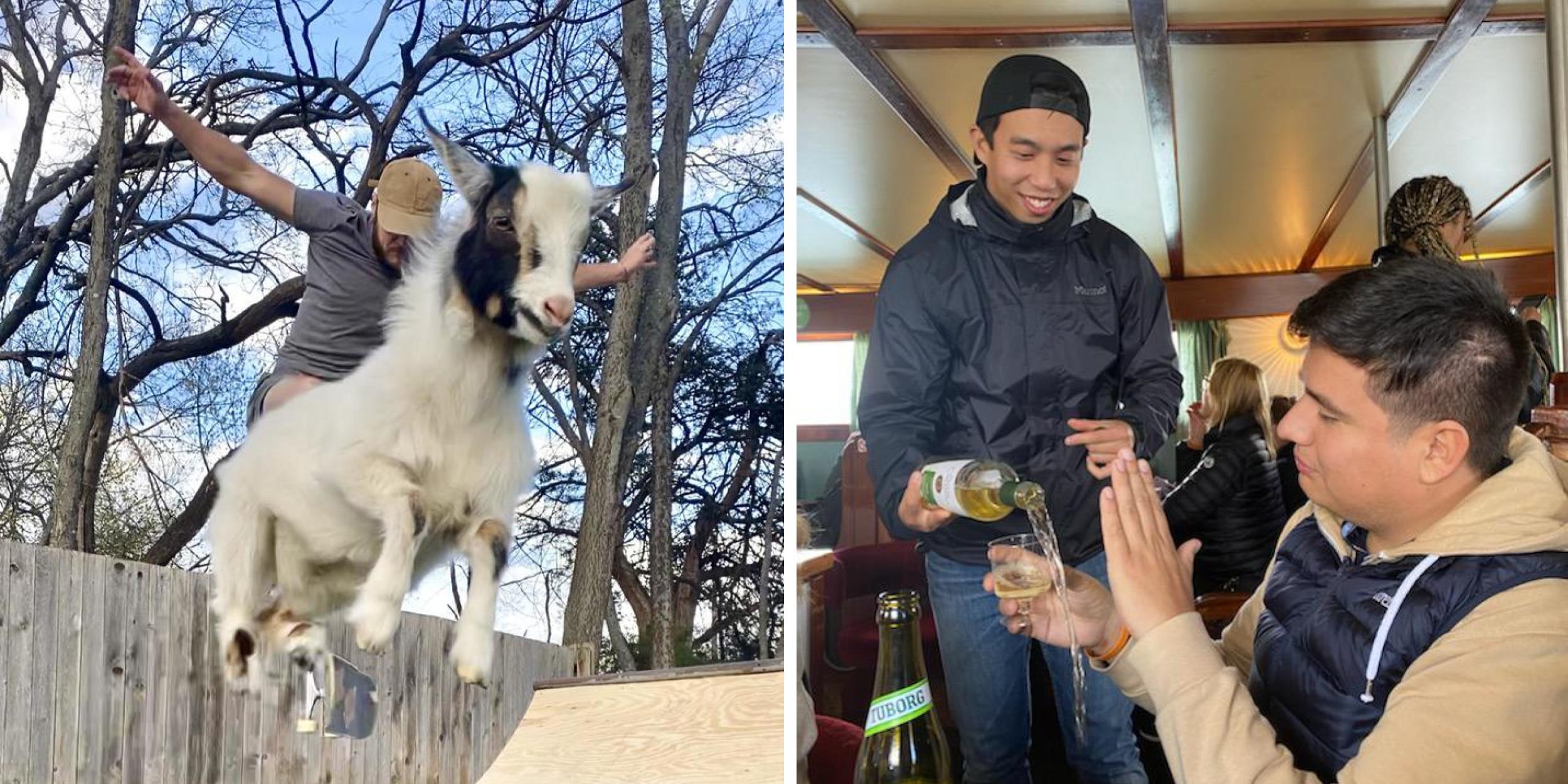 25 Perfectly Timed Photos Creating Some Intriguing Images | Know Your Meme