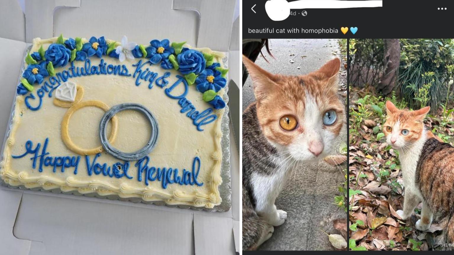 24 People And Their Hilarious Failed Attempts | Know Your Meme