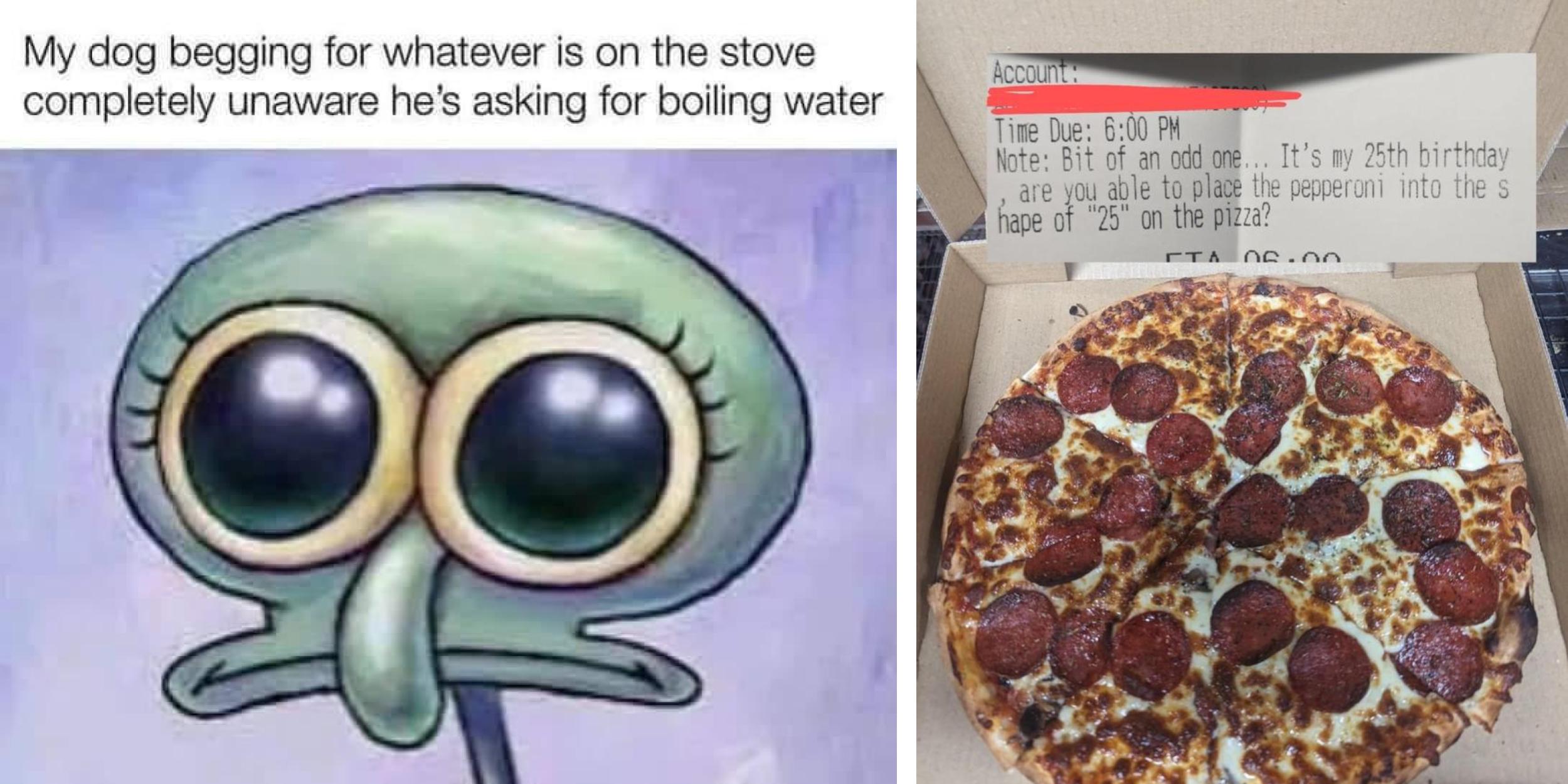 25 Wholesome Memes For Some Positive Vibes | Know Your Meme