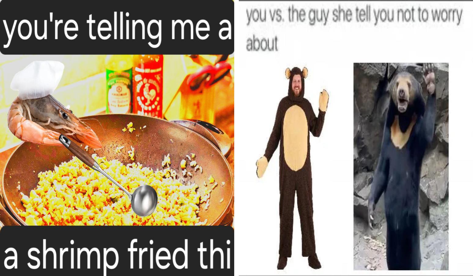 19 Memes Made By 'Special Snowflakes' | Know Your Meme