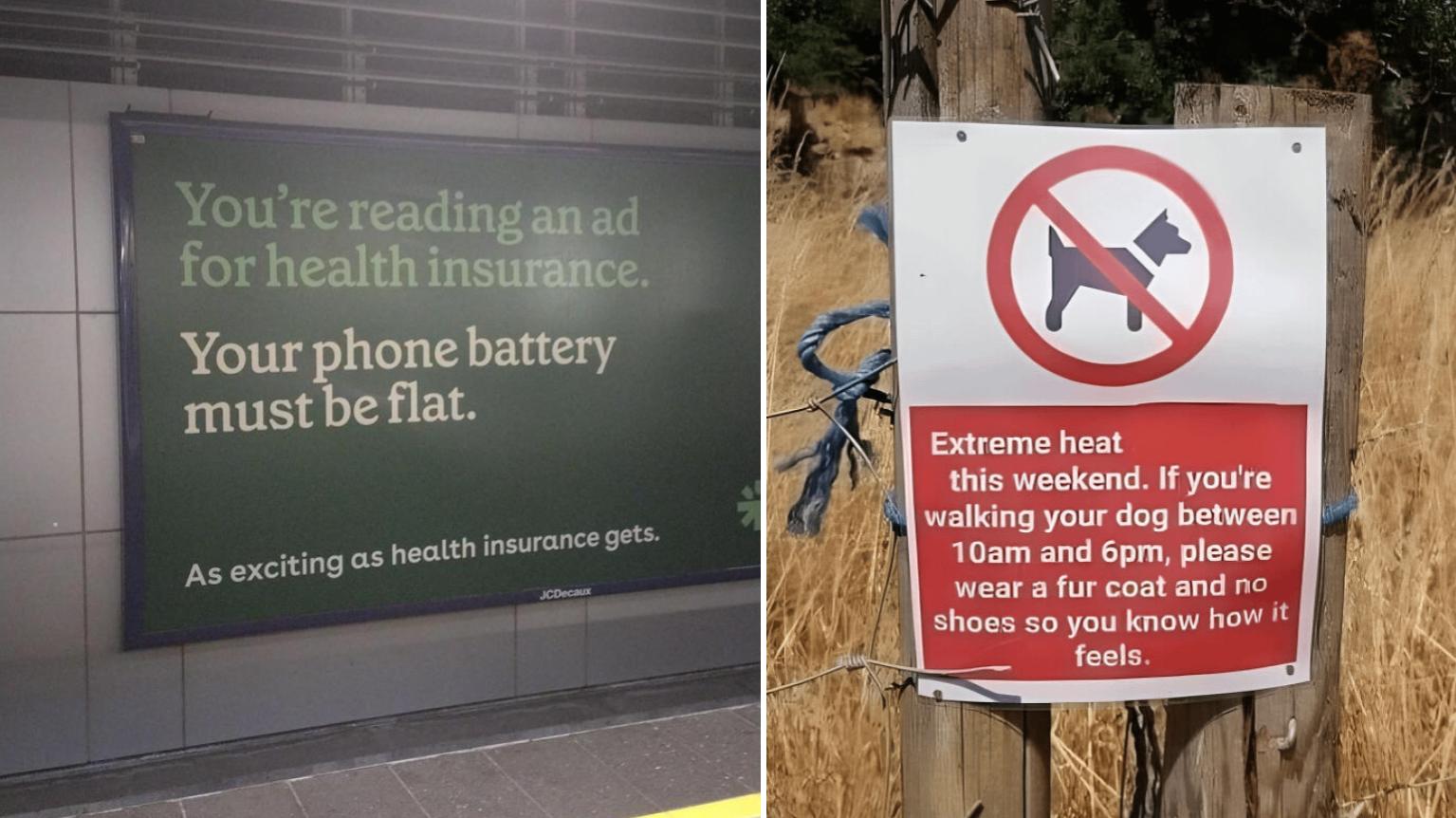 25 Funny Signs And Ads Captured In The Wild | Know Your Meme