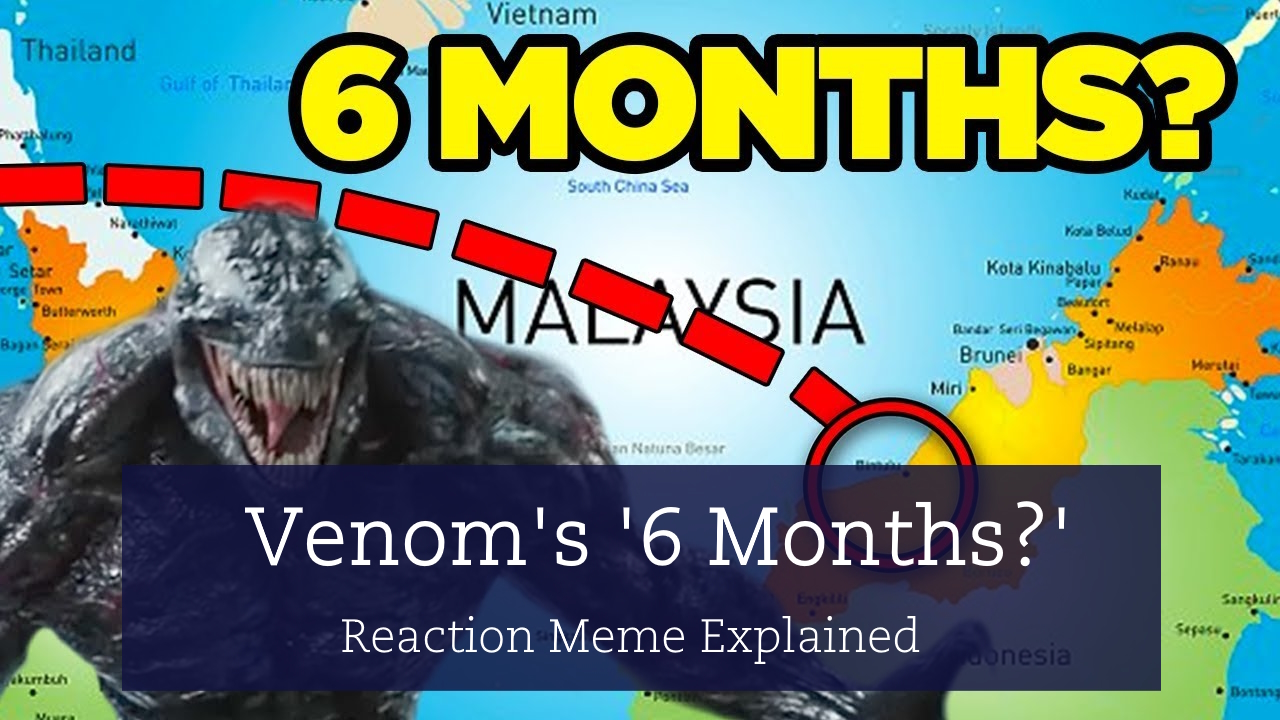 Why Is Venom Saying '6 Months' In This Meme? The Perfect Reaction For ...