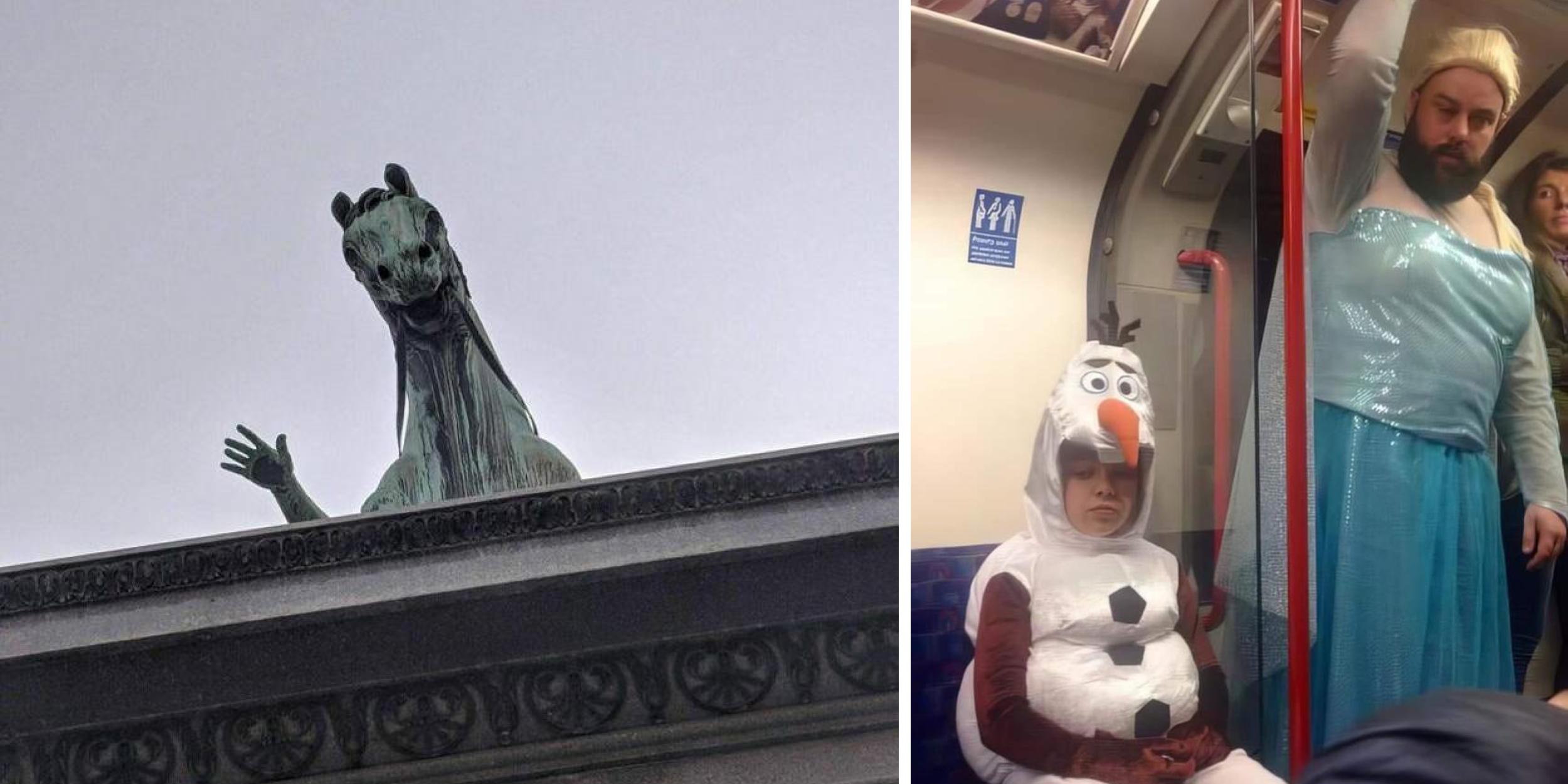 25 Contextless Images That Are Rather Odd | Know Your Meme